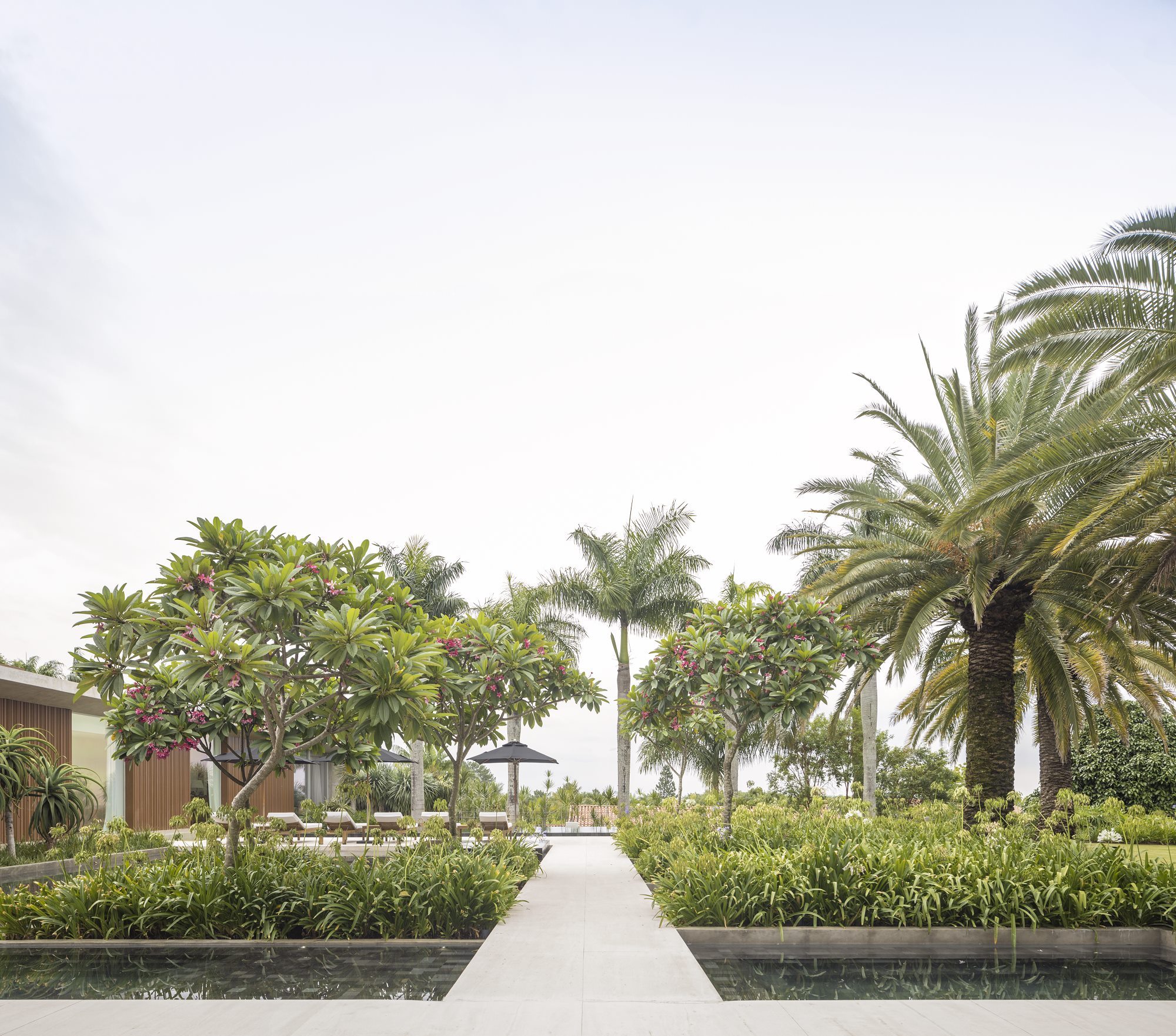 Gallery of CGD Gramado Garden / Alex Hanazaki Paisagismo - 13