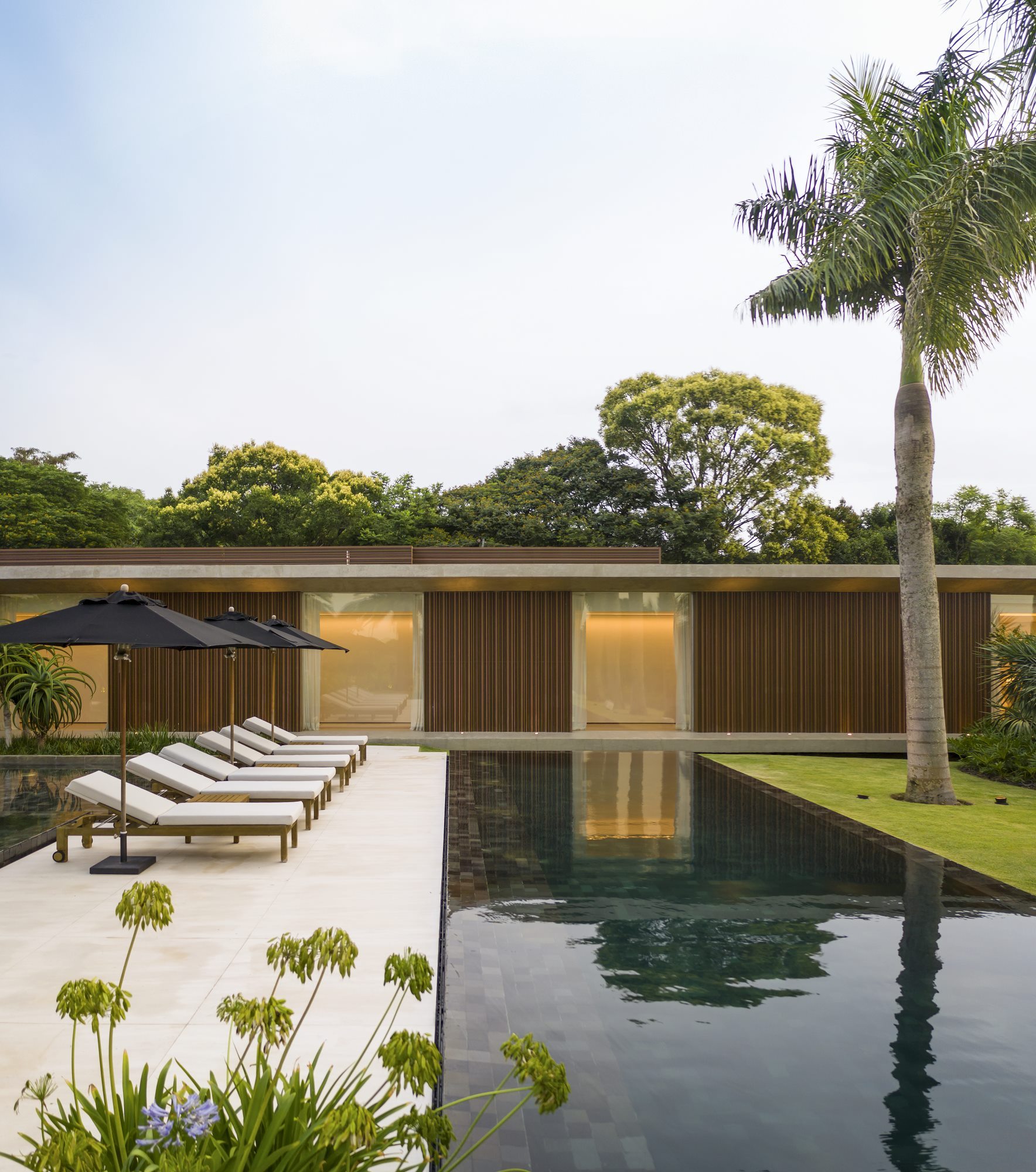 Gallery of CGD Gramado Garden / Alex Hanazaki Paisagismo - 31