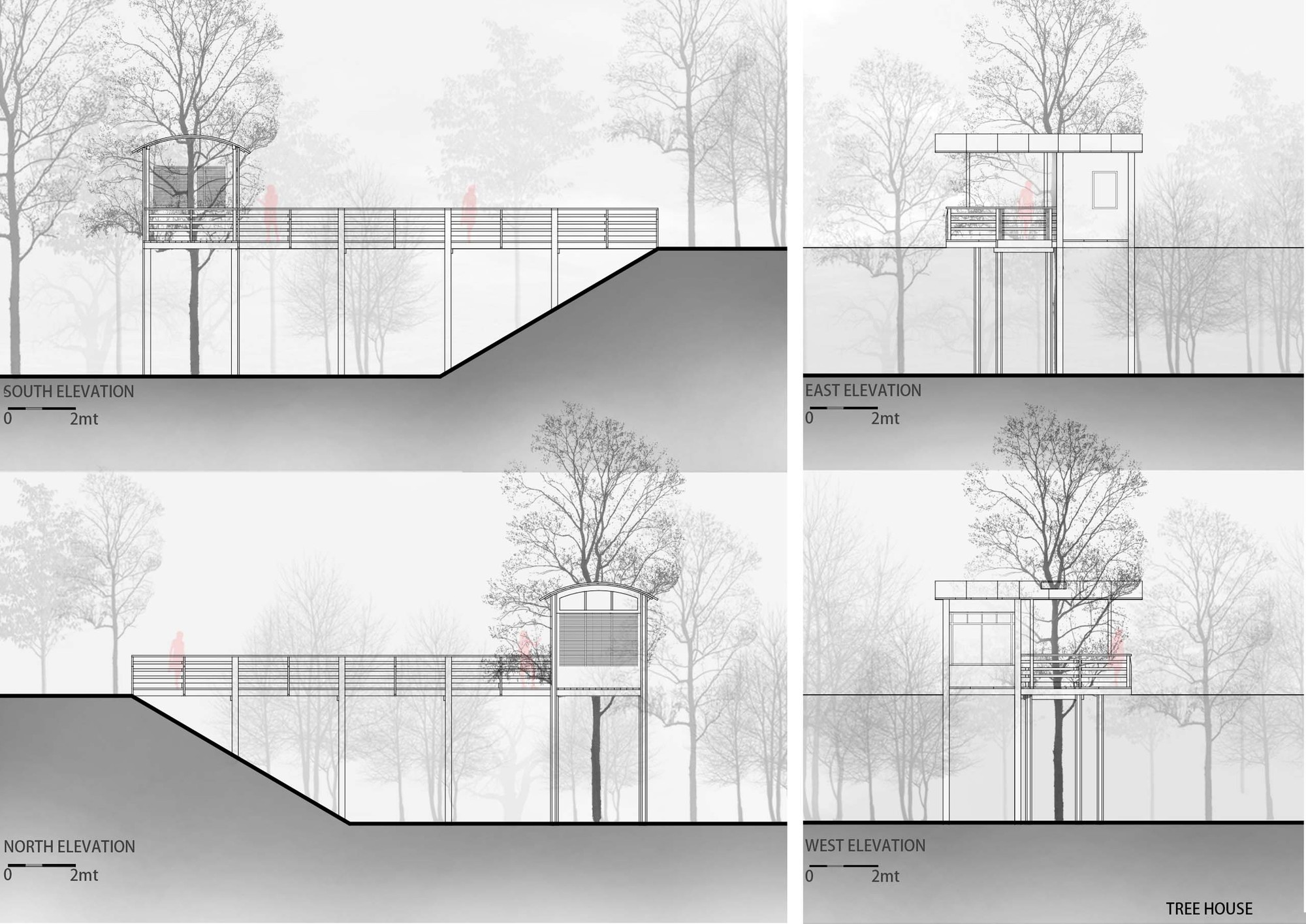 Architectural Trees In Elevation