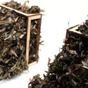 Seaweed as Cladding: Combining Old Traditions With New Tech | ArchDaily