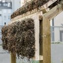 Seaweed as Cladding: Combining Old Traditions With New Tech | ArchDaily