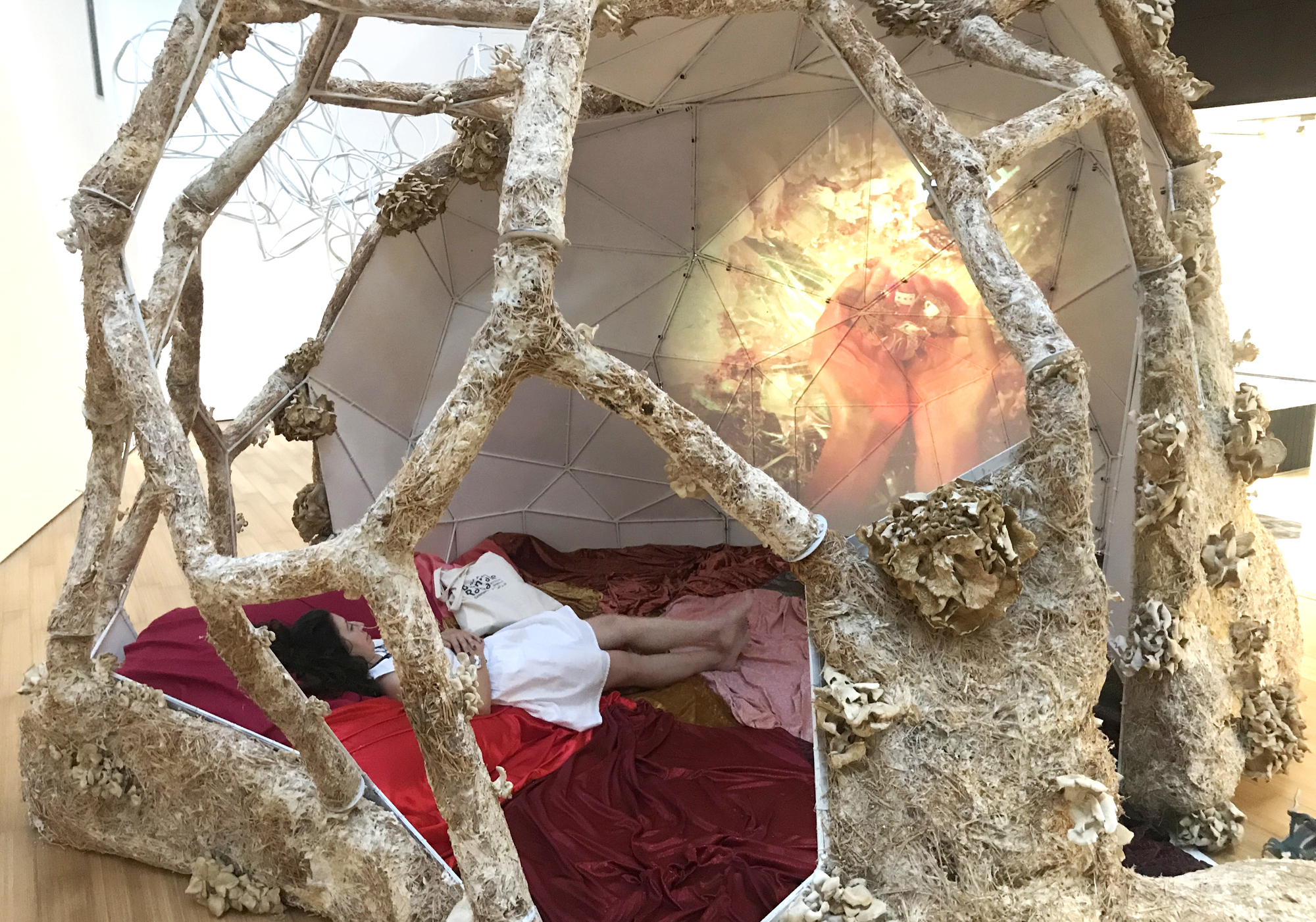 Galería de Breeding Space: una arquitectura viva que genera ...