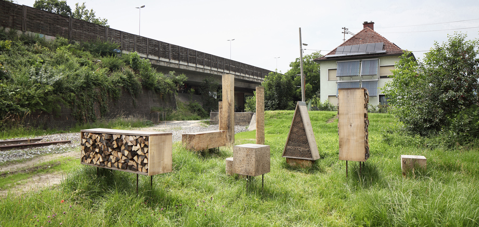 Galería de Ciudad de insectos: los pequeños límites entre ser humano y ...