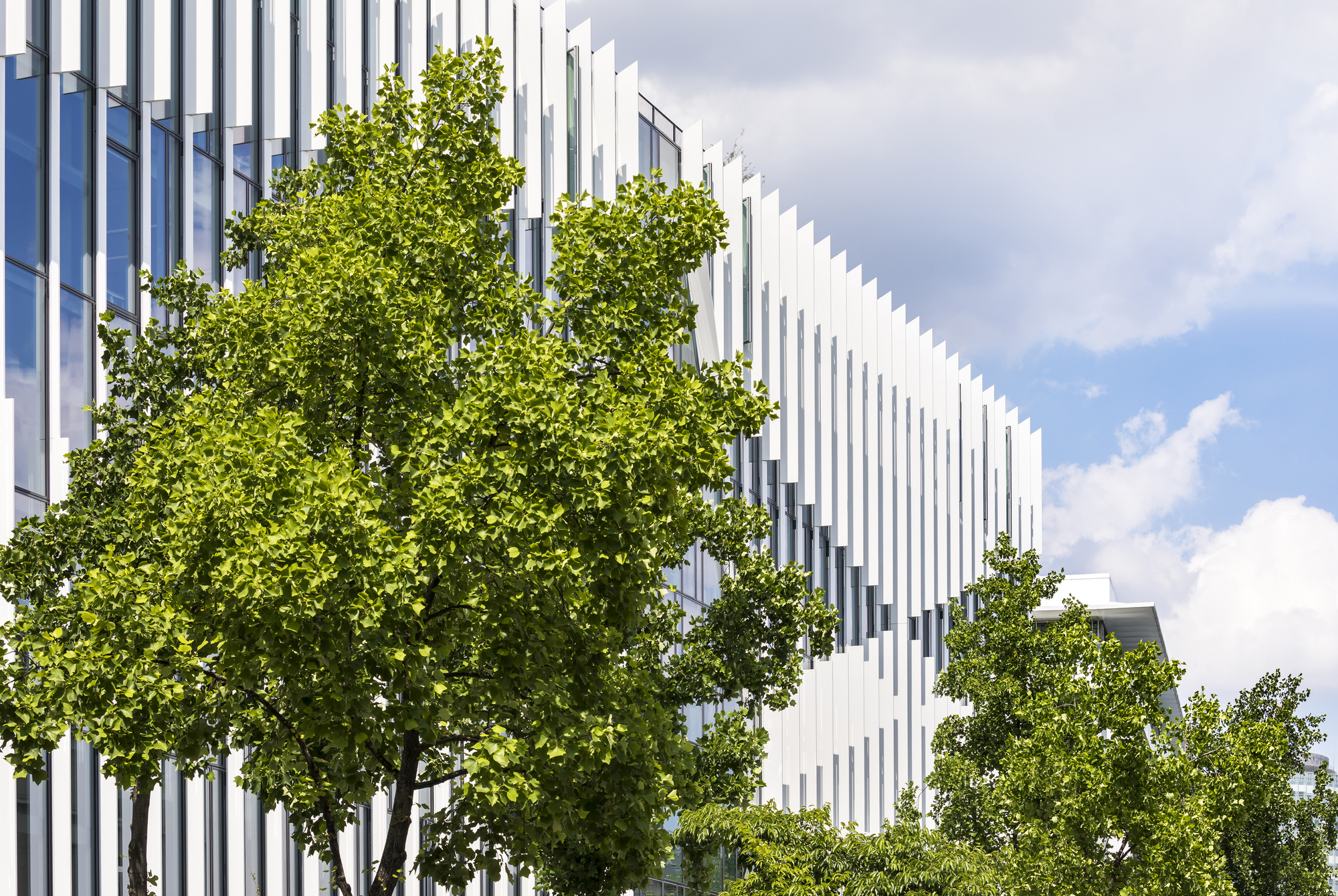 Gallery of Shift / Arte Charpentier - 15