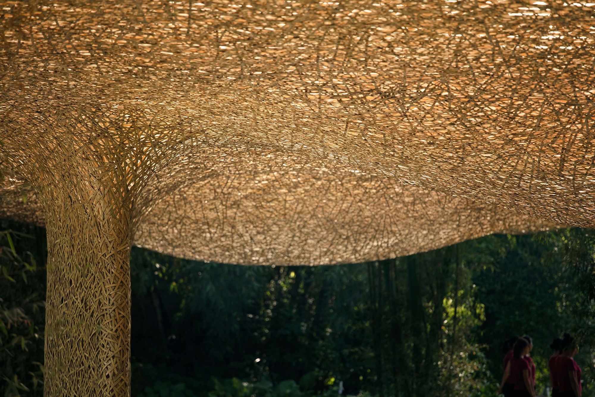 Gallery of Bamboo Bamboo, Canopy and Pavilions / llLab. - 19