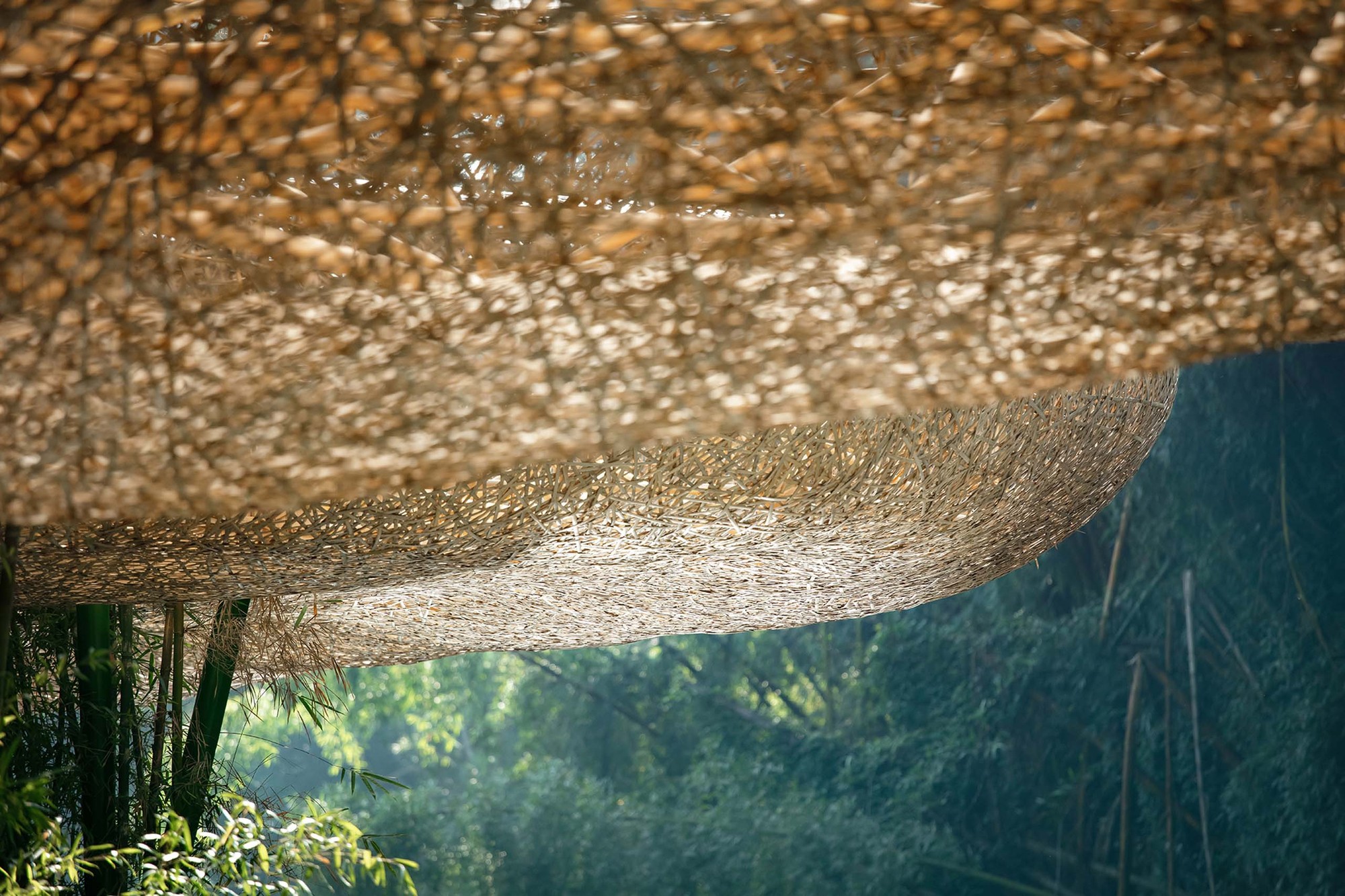 Gallery of Bamboo Bamboo, Canopy and Pavilions / llLab. - 28