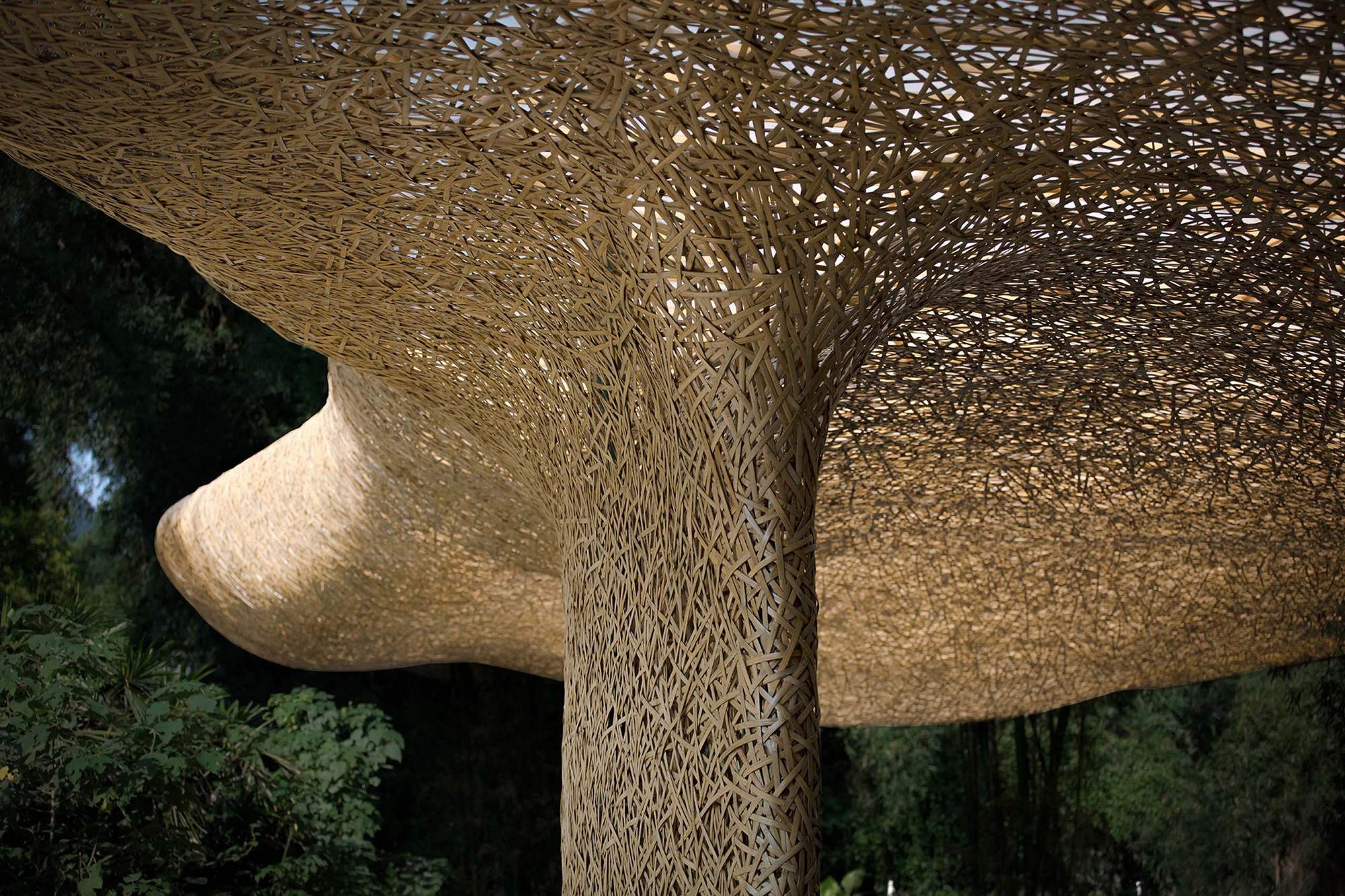 Gallery of Bamboo Bamboo, Canopy and Pavilions / llLab. - 11