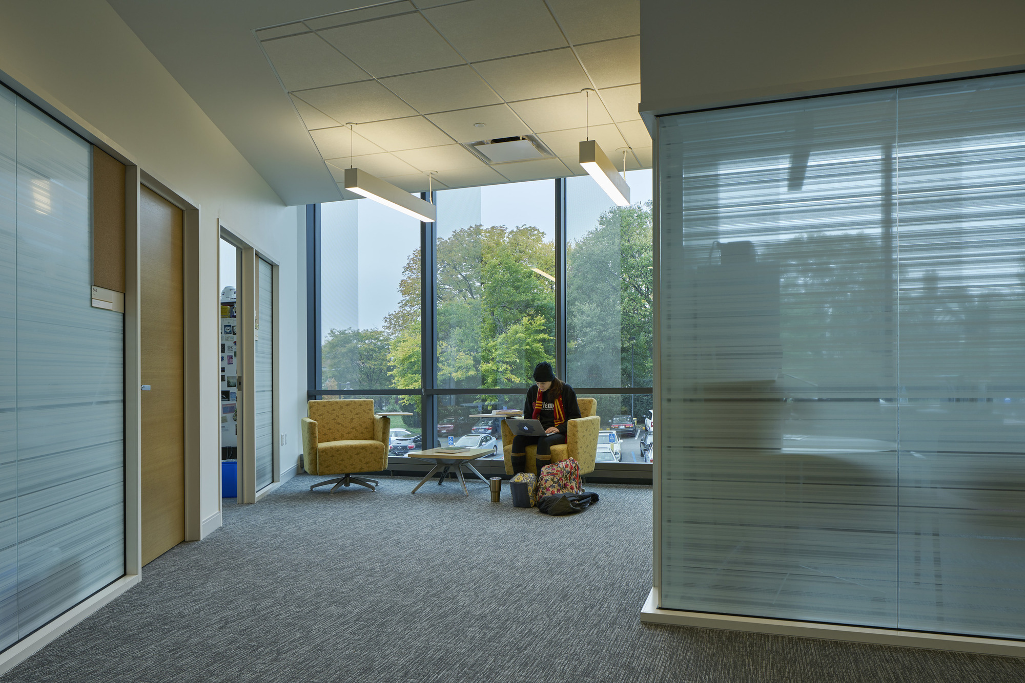 Gallery of Webster University, Browning Hall Interdisciplinary Science ...