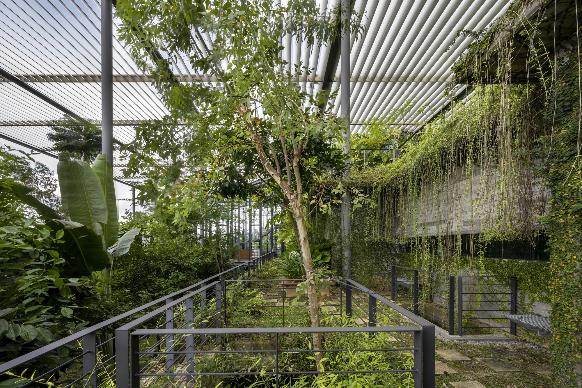 Gallery of Factory in the Forest / Design Unit Architects Snd Bhd - 12