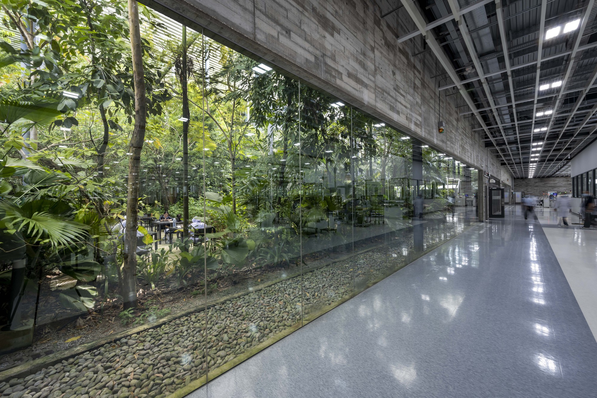 Gallery of Factory in the Forest / Design Unit Architects Snd Bhd - 3