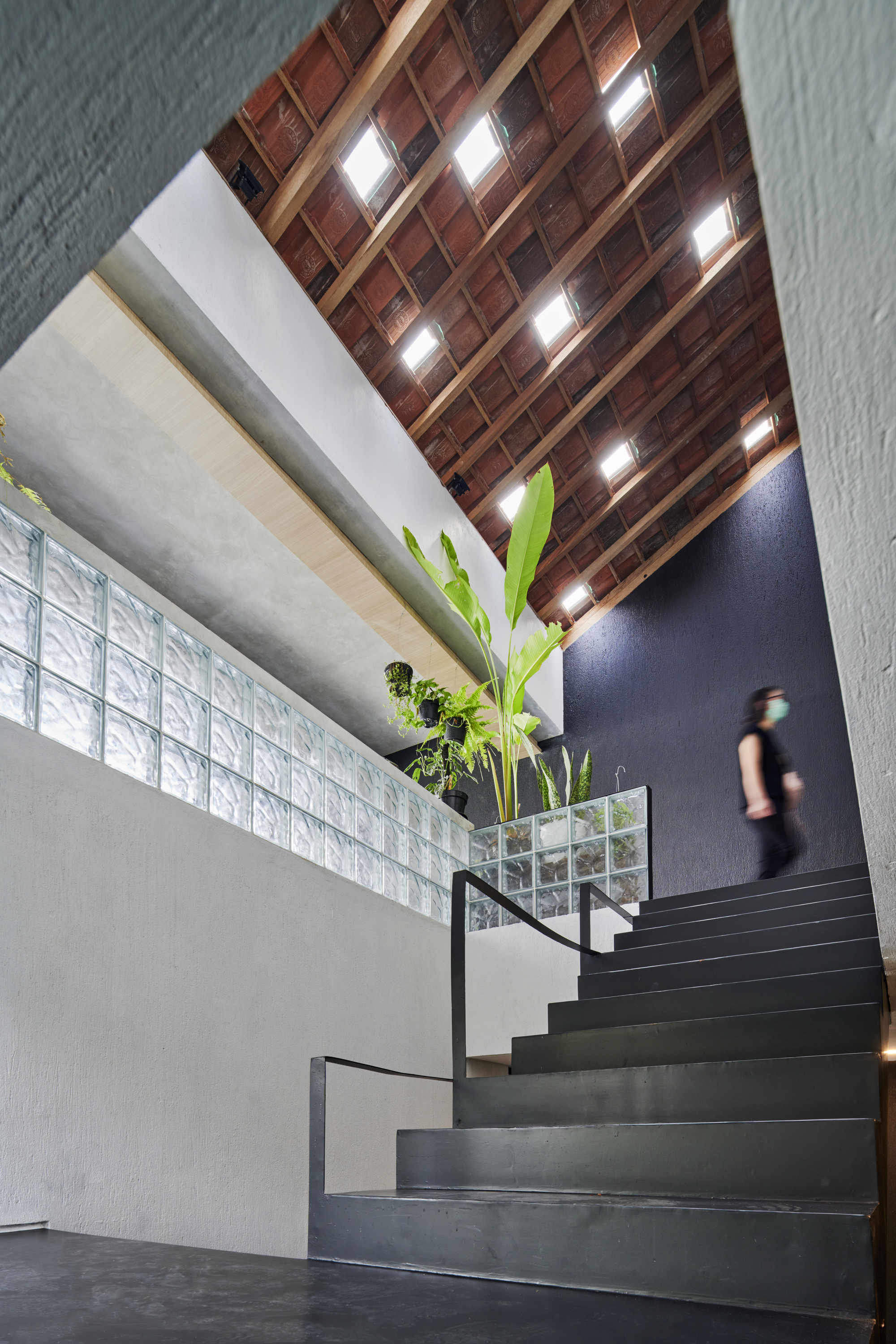 Gallery of Micro Tropicality, RAD+ar HQ / RAD+ar (Research Artistic ...