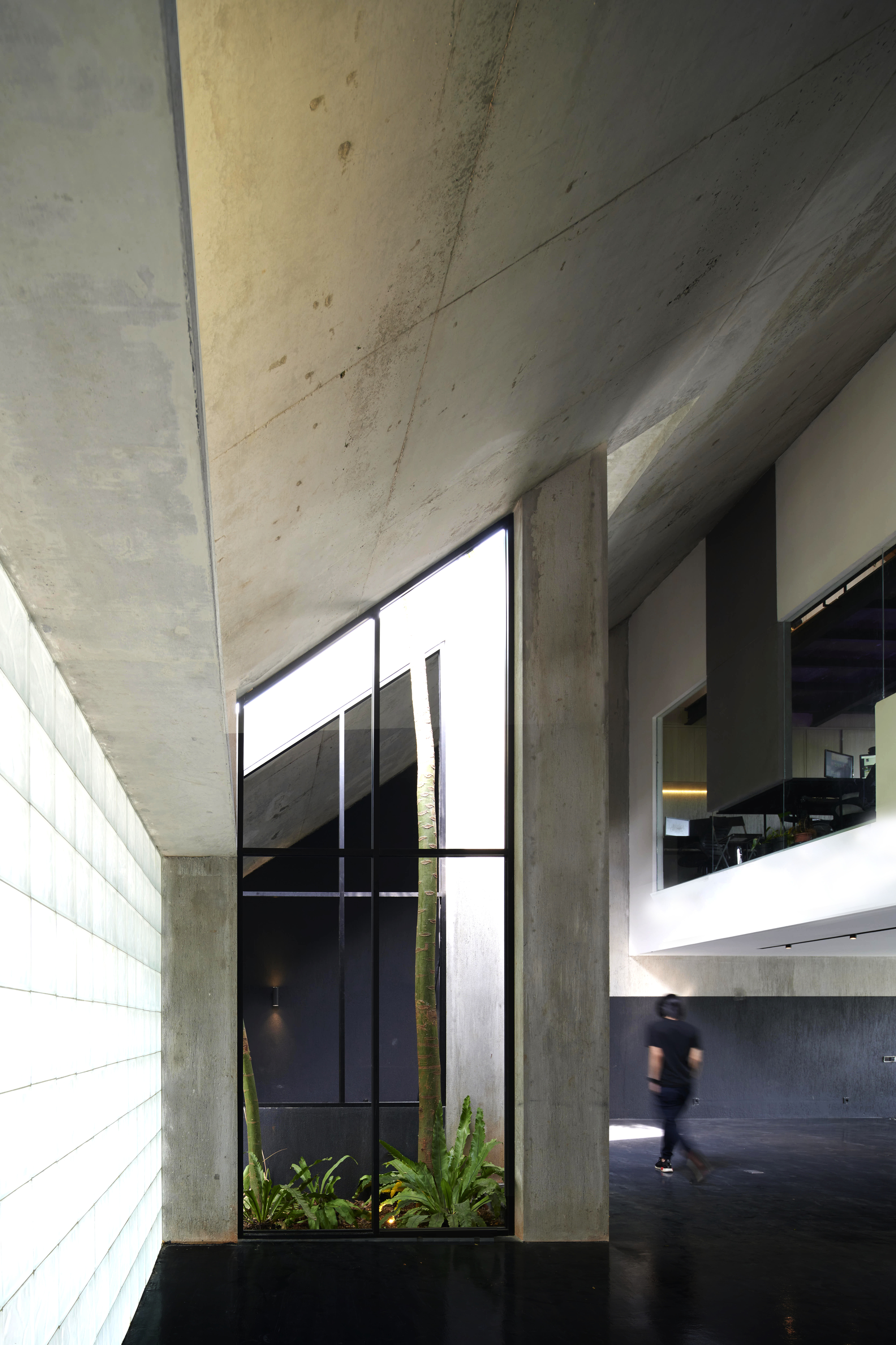 Gallery of Micro Tropicality, RAD+ar HQ / RAD+ar (Research Artistic ...