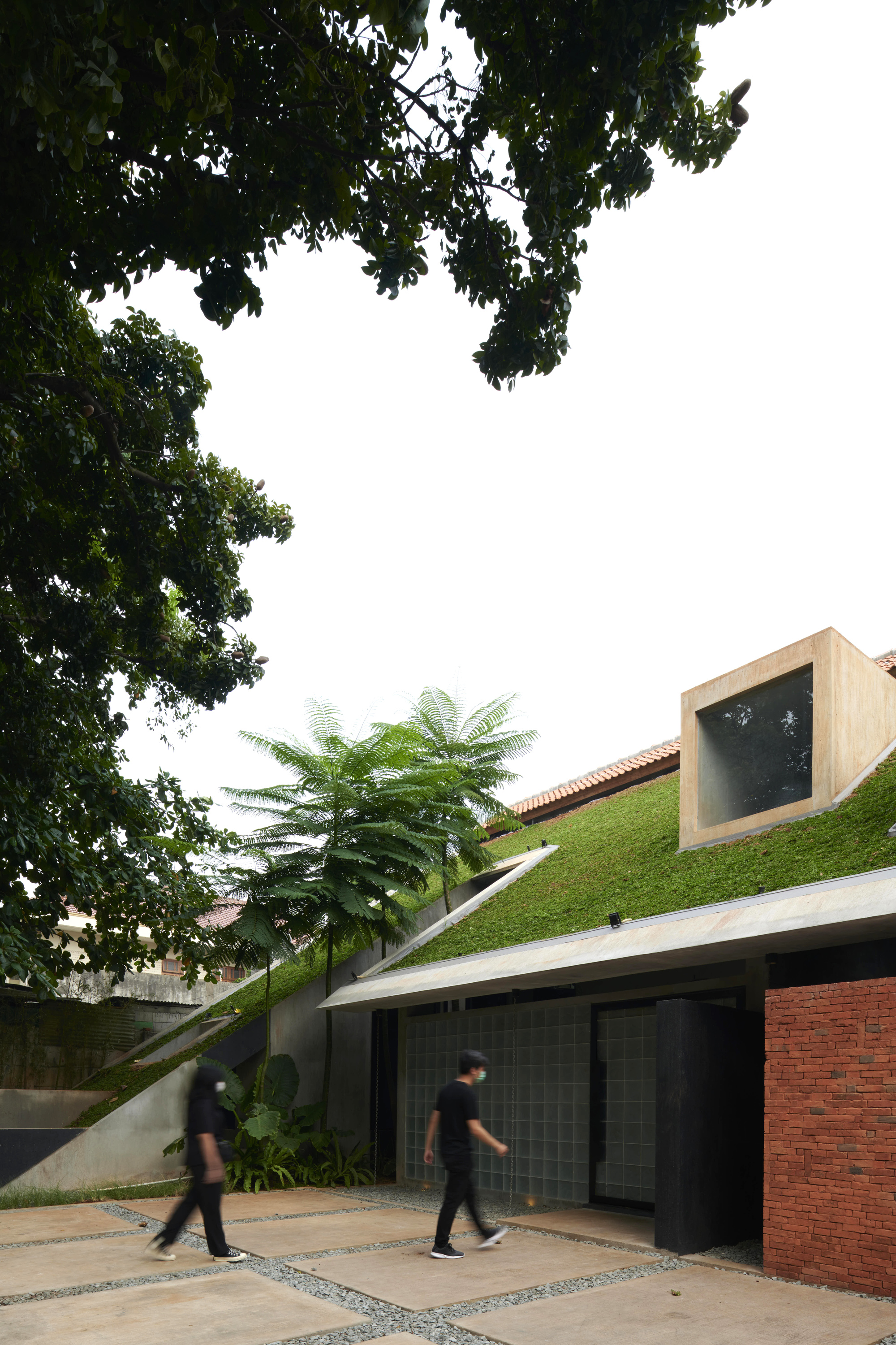 Gallery of Micro Tropicality, RAD+ar HQ / RAD+ar (Research Artistic ...