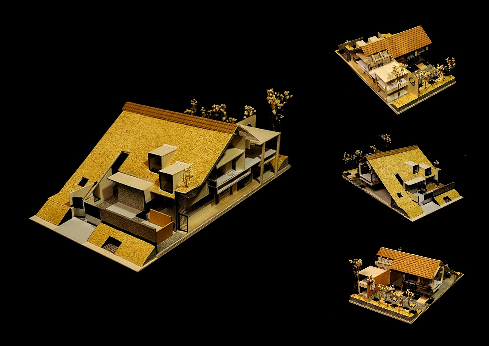 画廊 RAD+ar总部，微缩热带建筑 / RAD+ar (Research Artistic Design + architecture) - 41