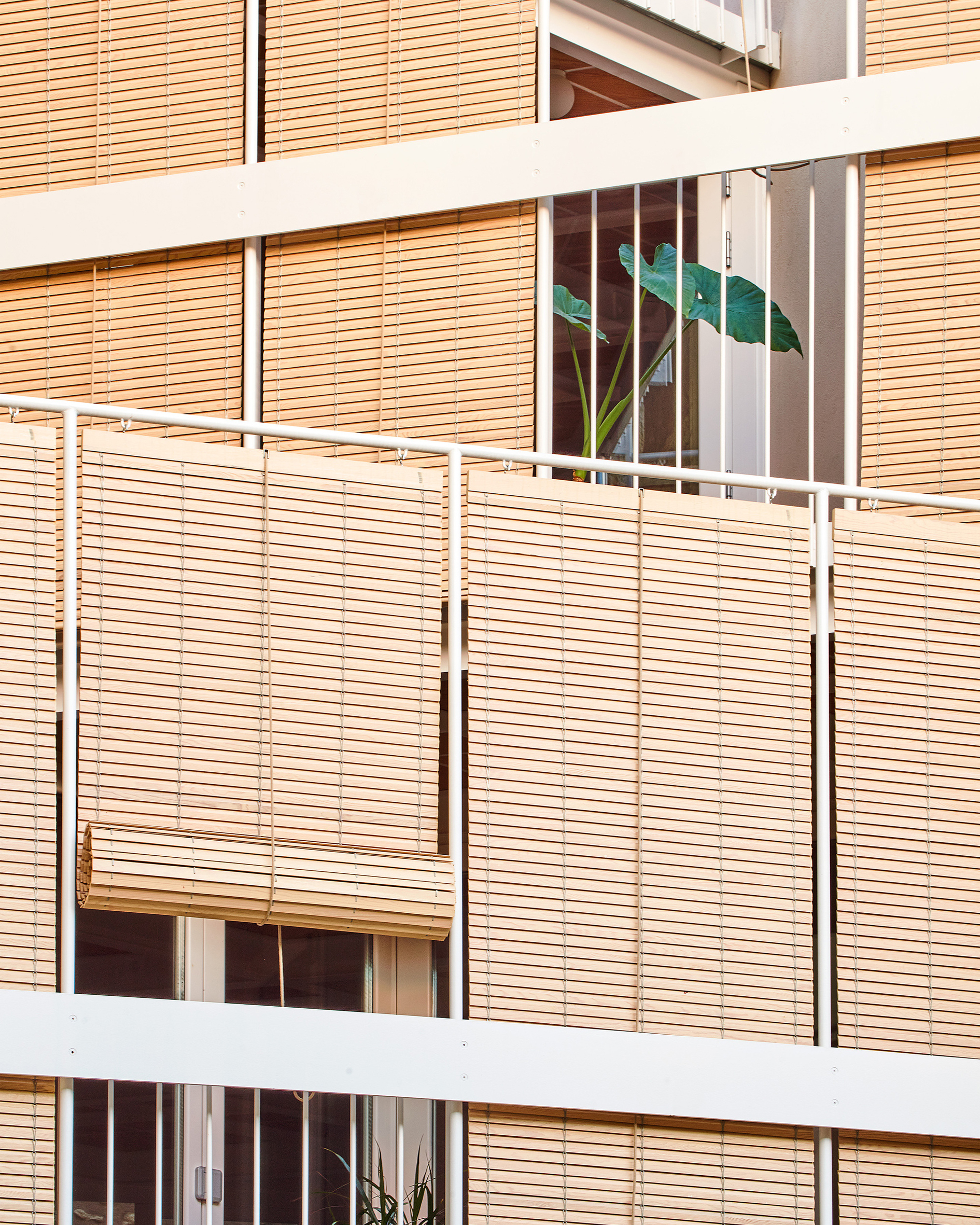 Gallery of Traditional Solutions, Modern Projects: Wooden Screens for ...