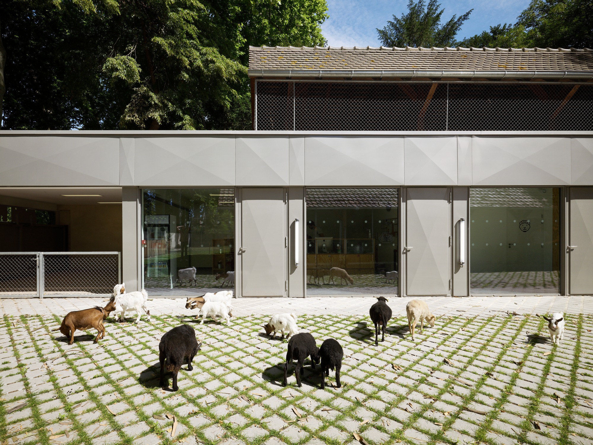 Gallery of Strasbourg Zoo's Pedagogical Farm and Visitor Center ...