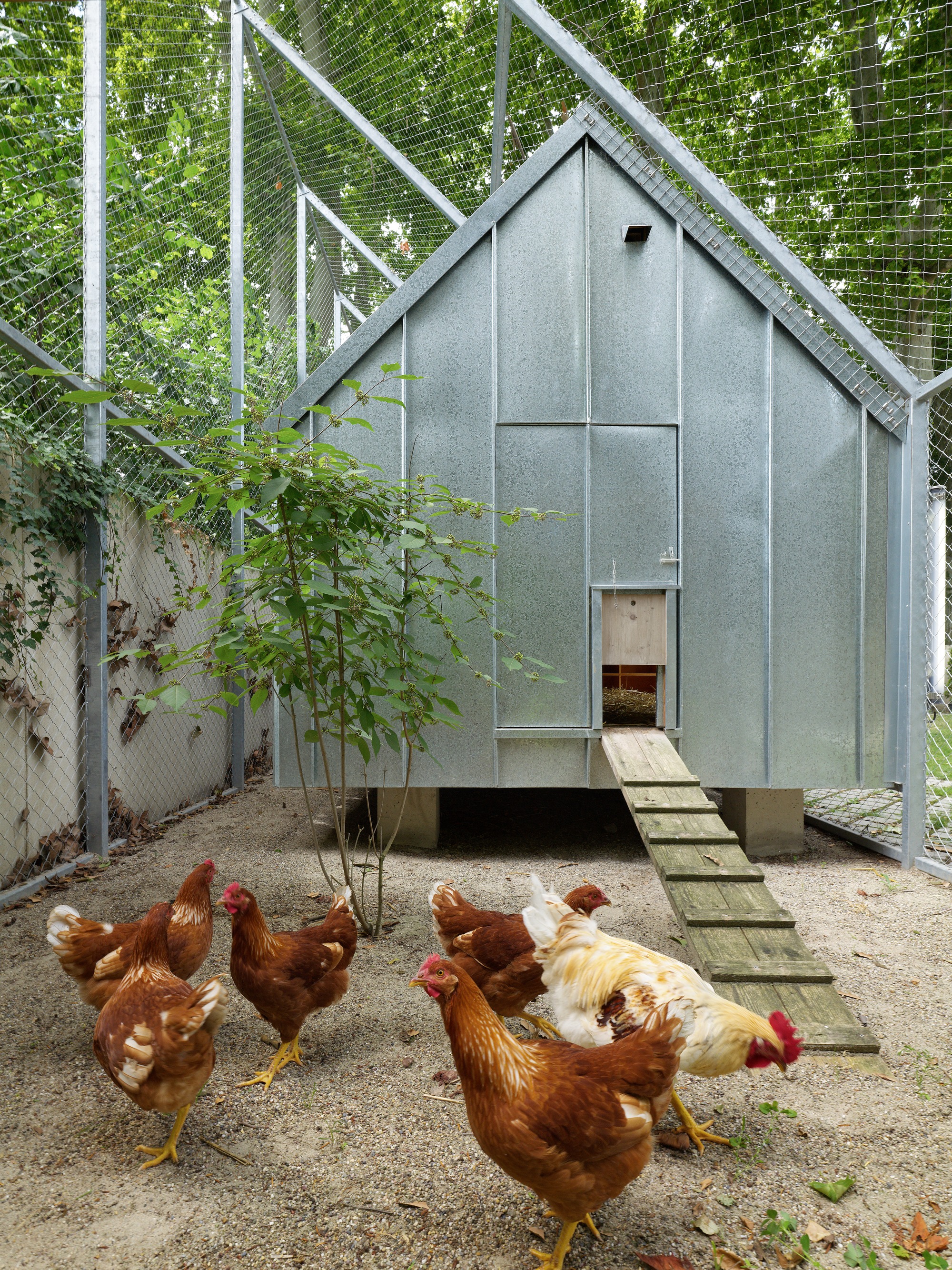 Gallery of Strasbourg Zoo's Pedagogical Farm and Visitor Center ...