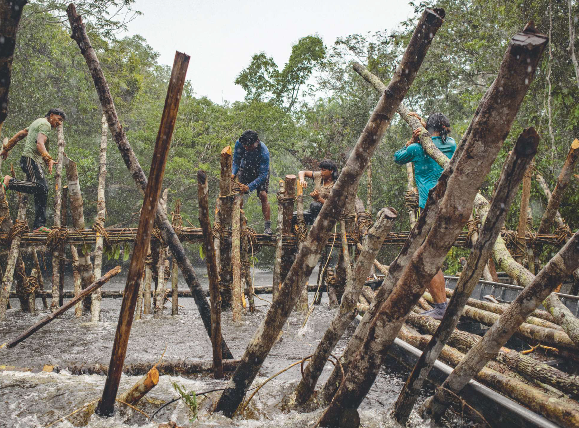 Gallery of Lo-TEK: Reclaiming Indigenous Techniques to Work with Nature - 8