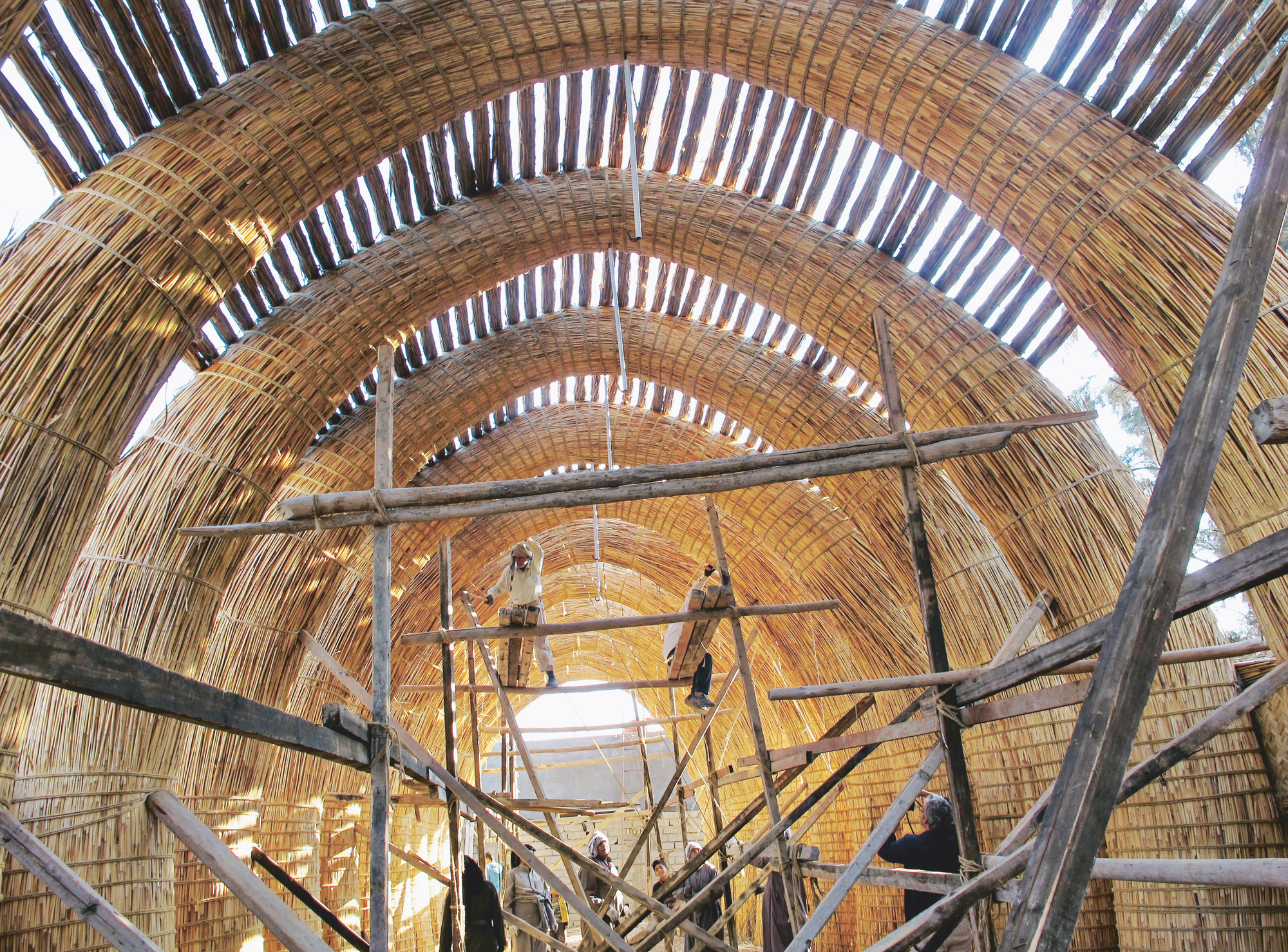 Gallery of Lo-TEK: Reclaiming Indigenous Techniques to Work with Nature ...