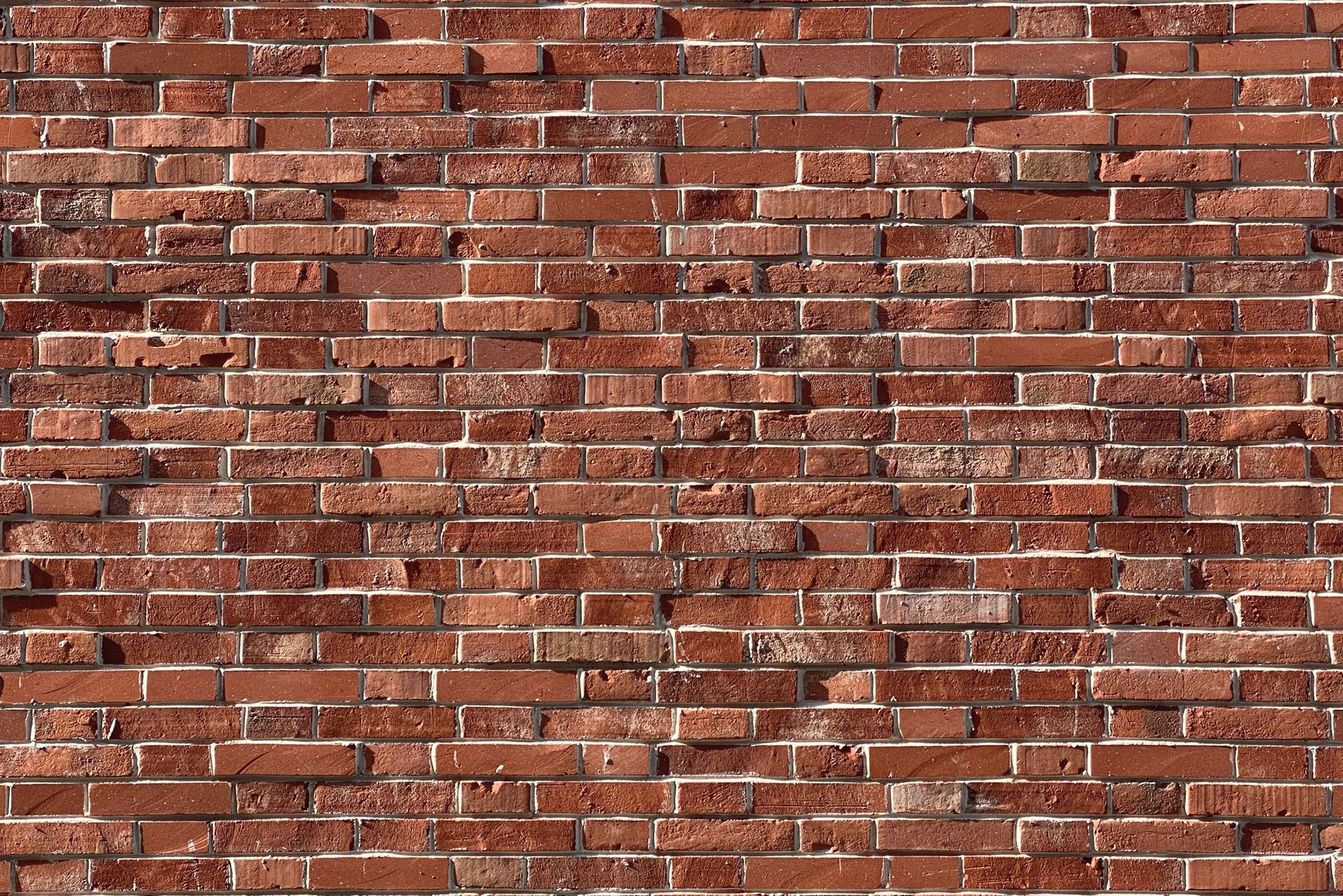 Gallery of Chongming Cultural Activity Center / Studio Ku Kan Nai - 19