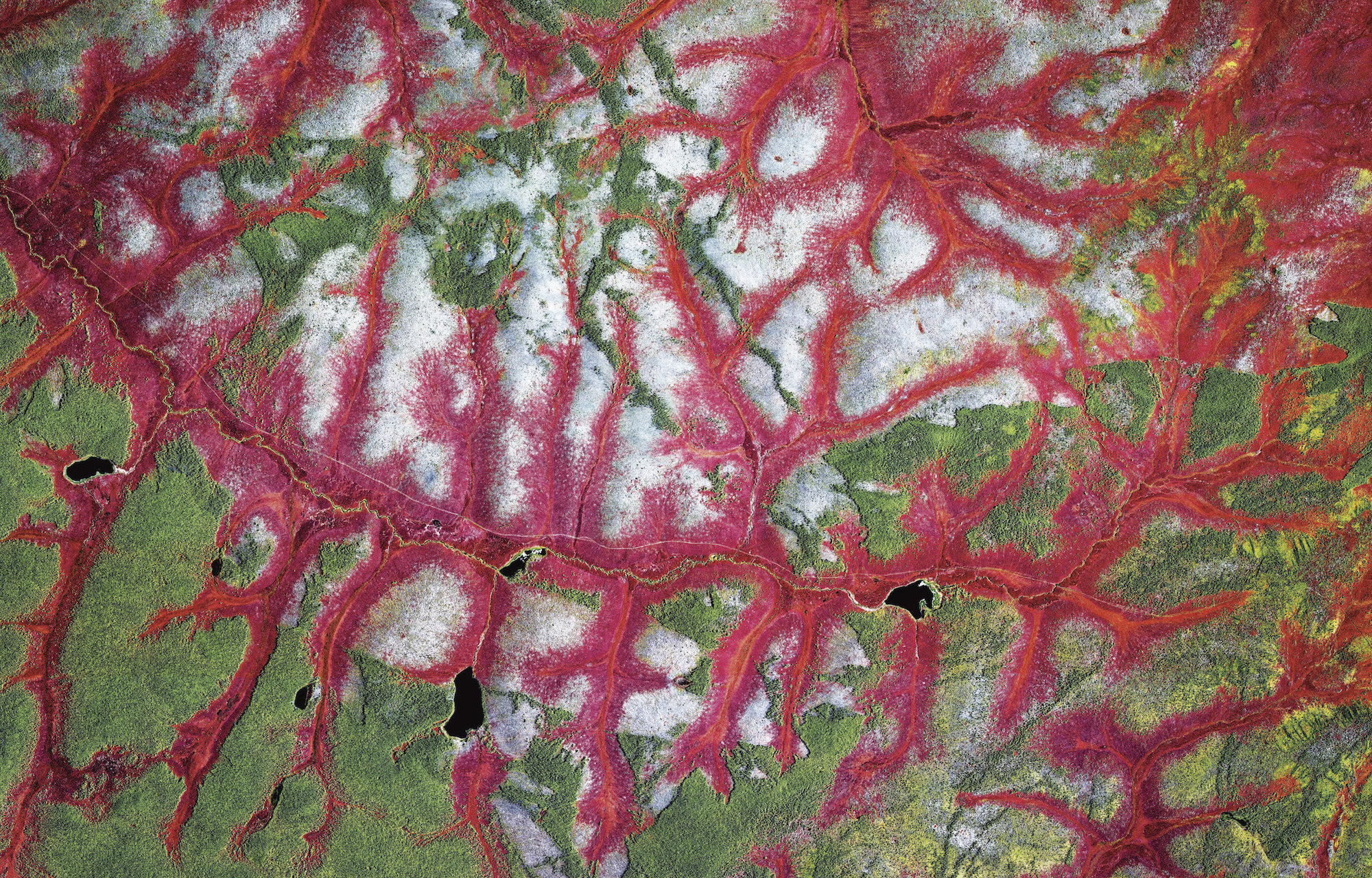 Gallery of How We Change the Earth: Human Transformations on the Planet ...