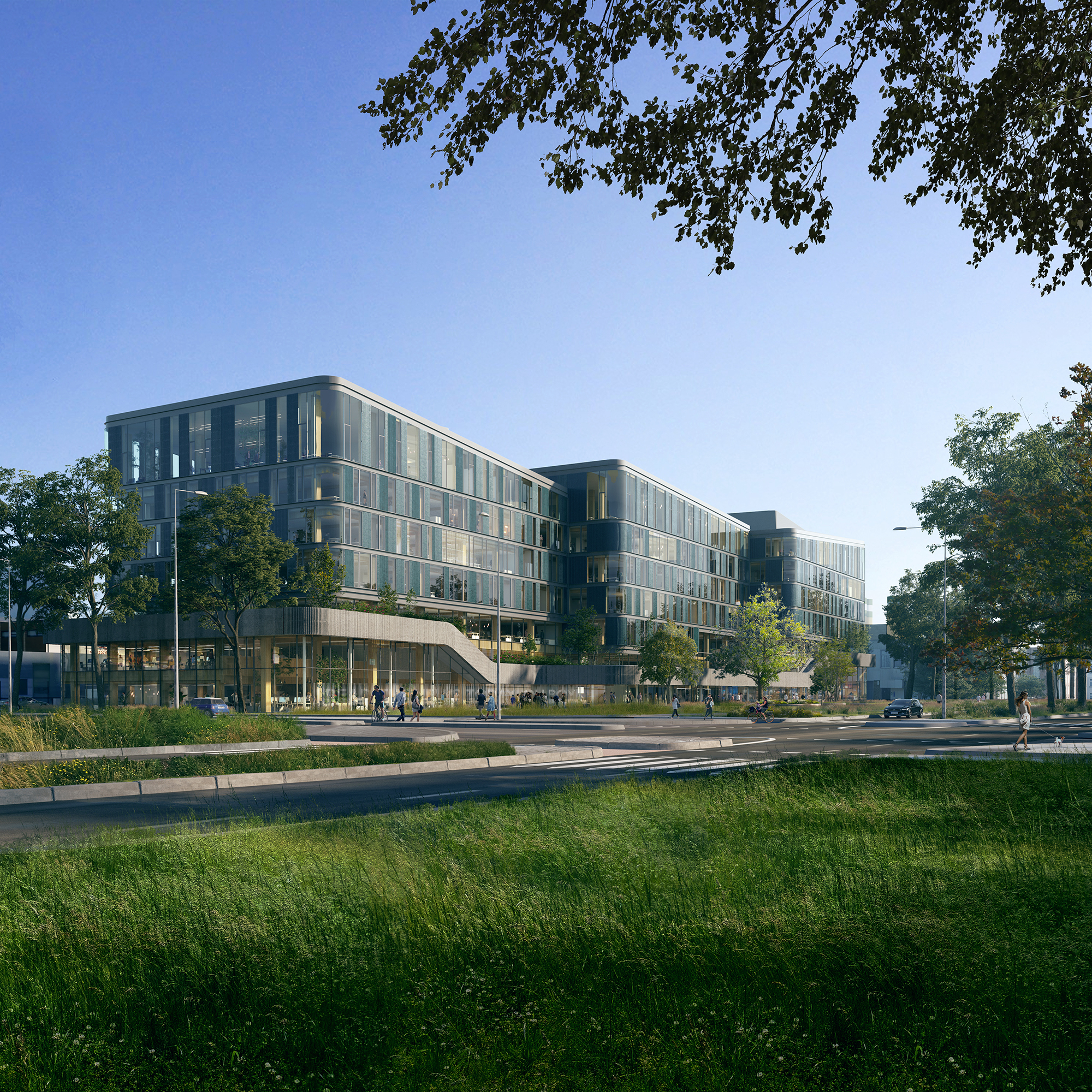 Gallery of Team V Designs One of the Largest Timber Hybrid Offices for ...