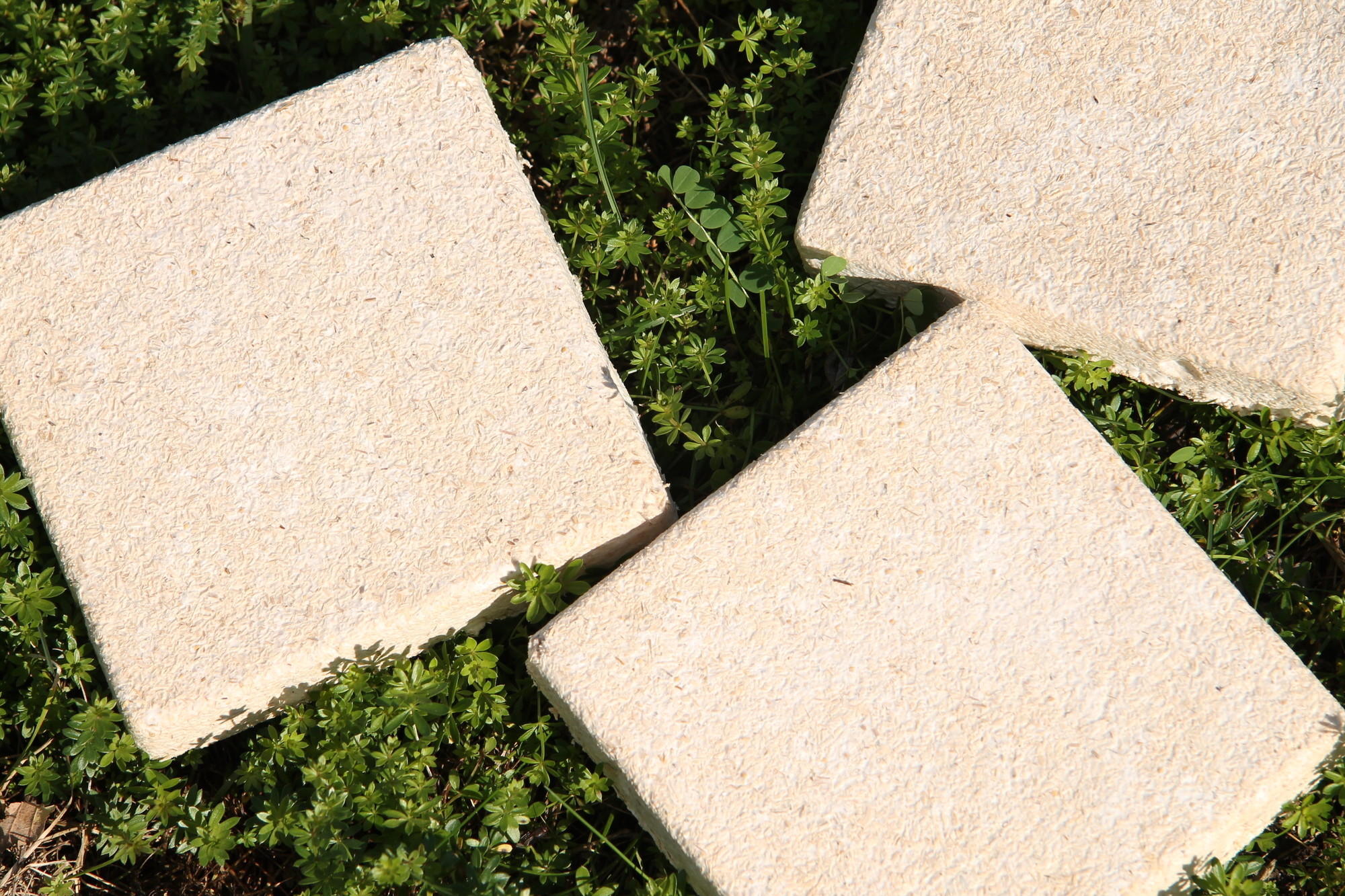 Gallery of Mushroom Buildings? The Possibilities of Using Mycelium in ...