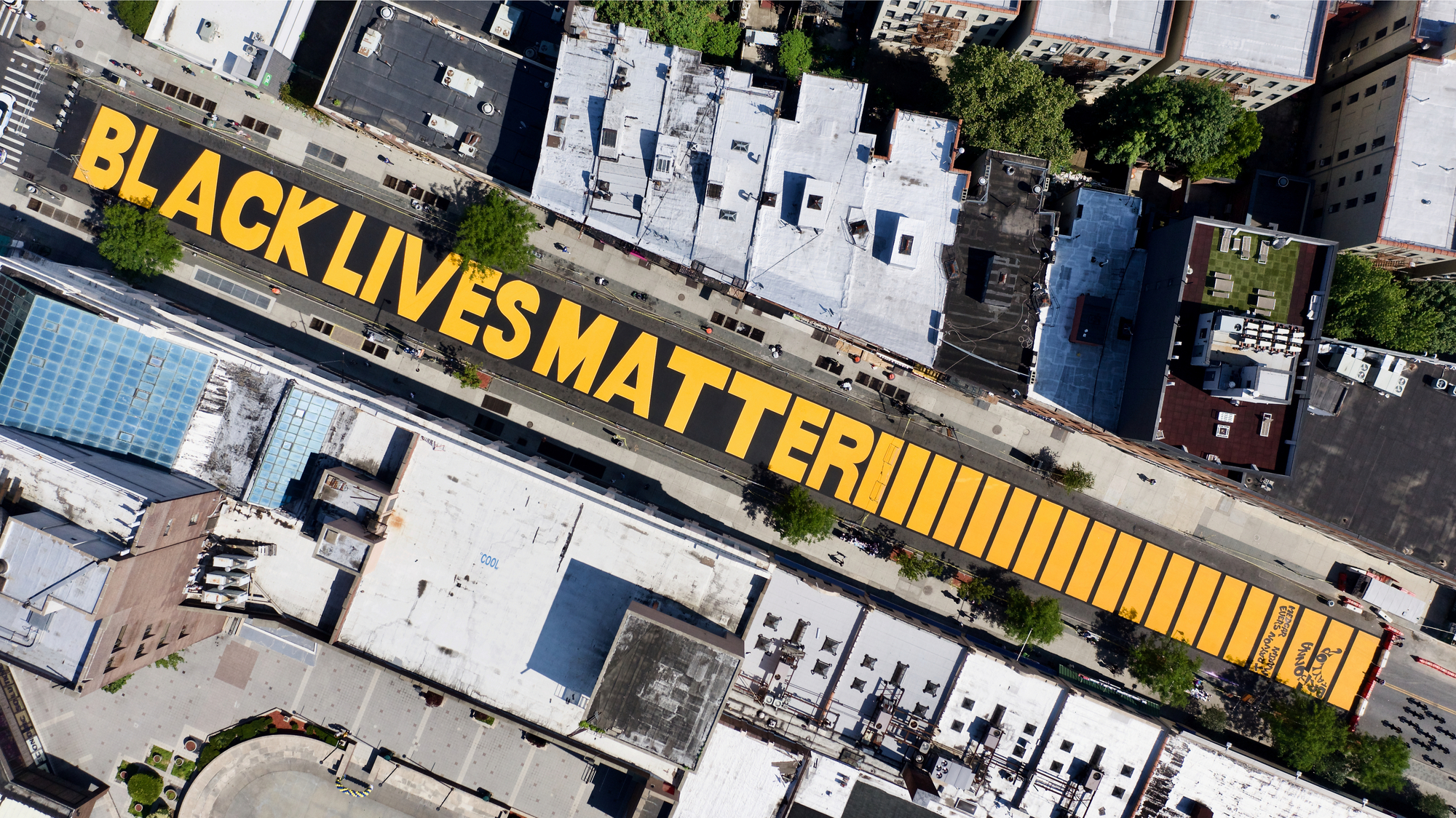 Landscape Architects of Color on How to Combat Erasure | ArchDaily