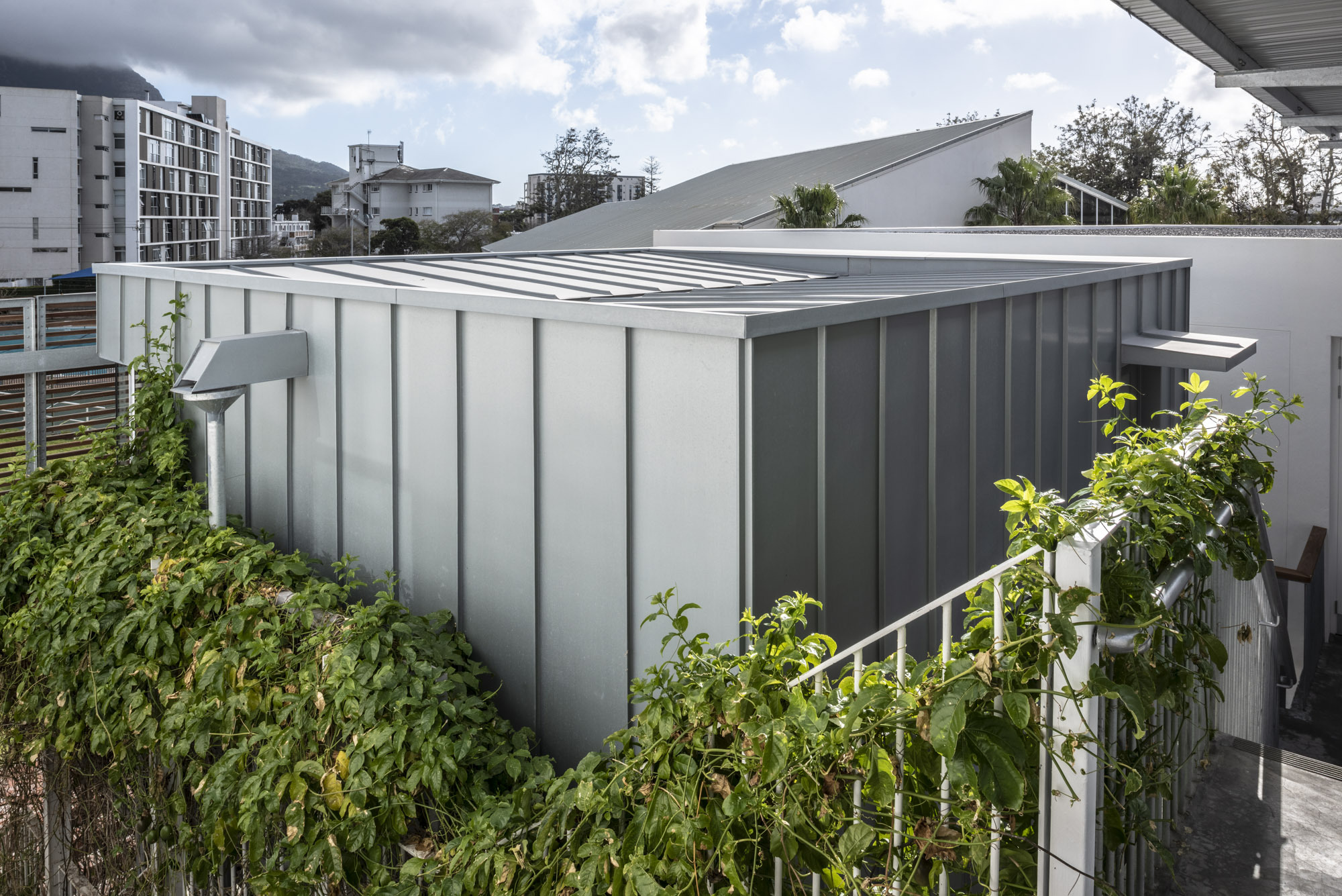 Gallery of Herschel Atrium Extension / KLG Architects - 4
