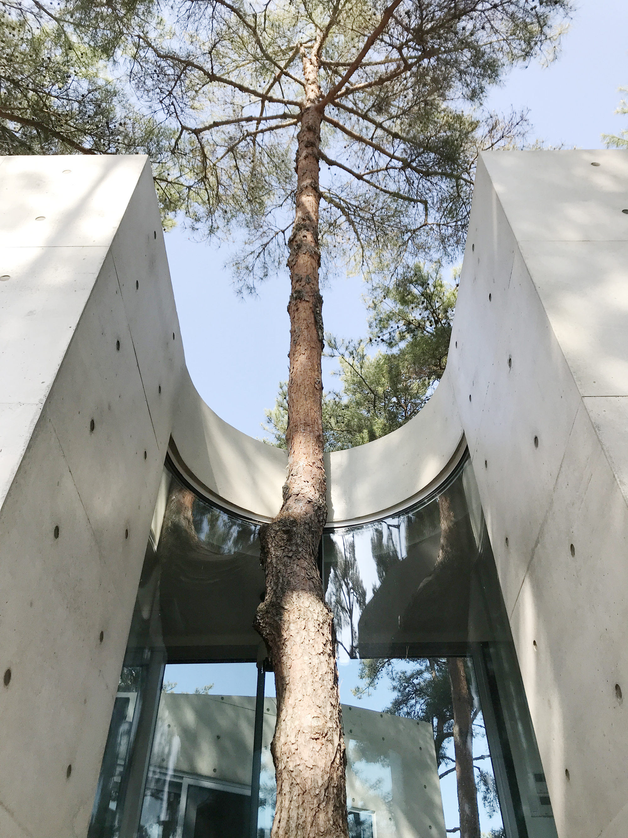 Gallery of Merry Monarch Marina Club / Superstring Architecture - 9