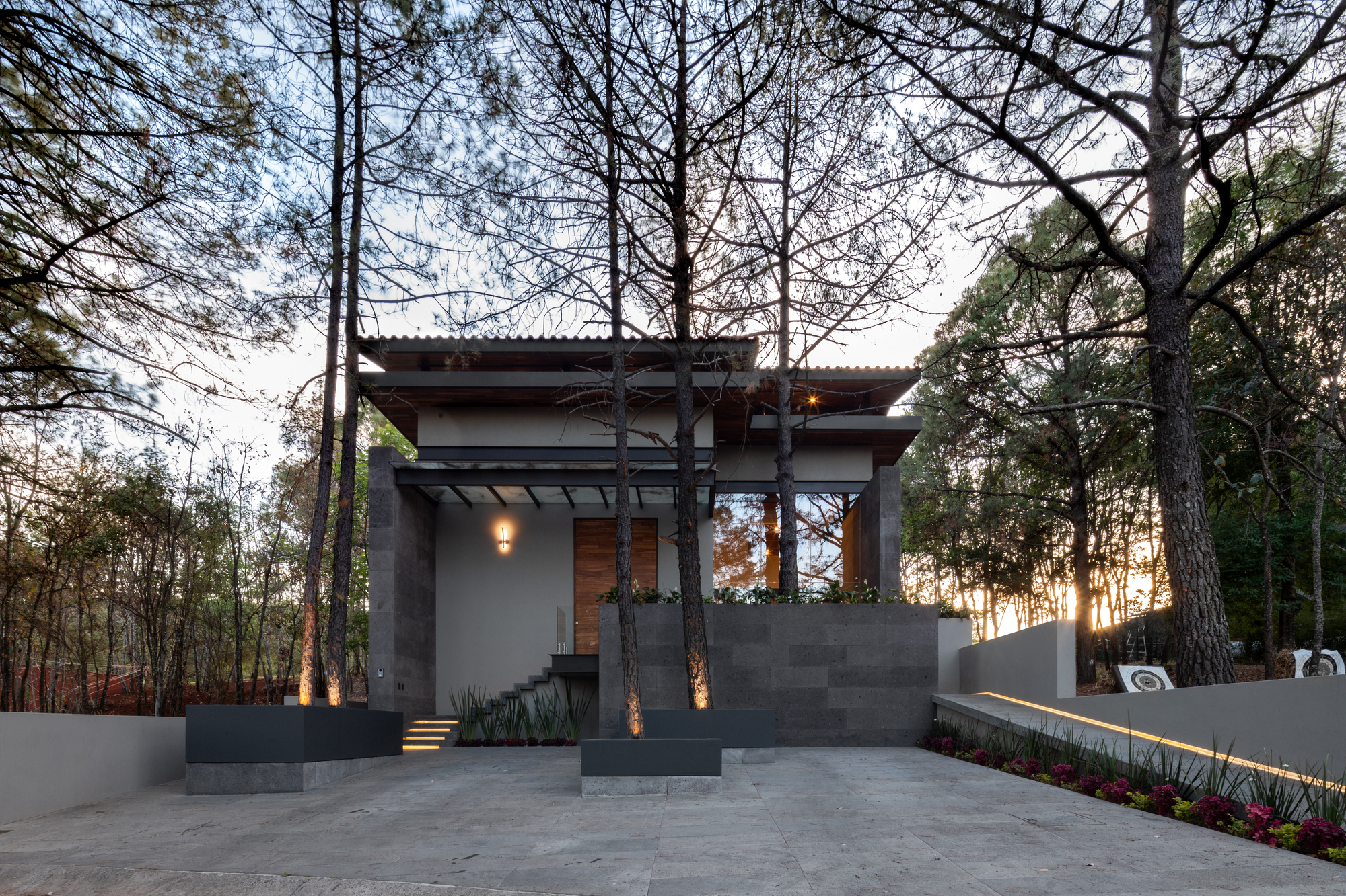 Galería de Casa entre pinos / Infante Arquitectos - 1