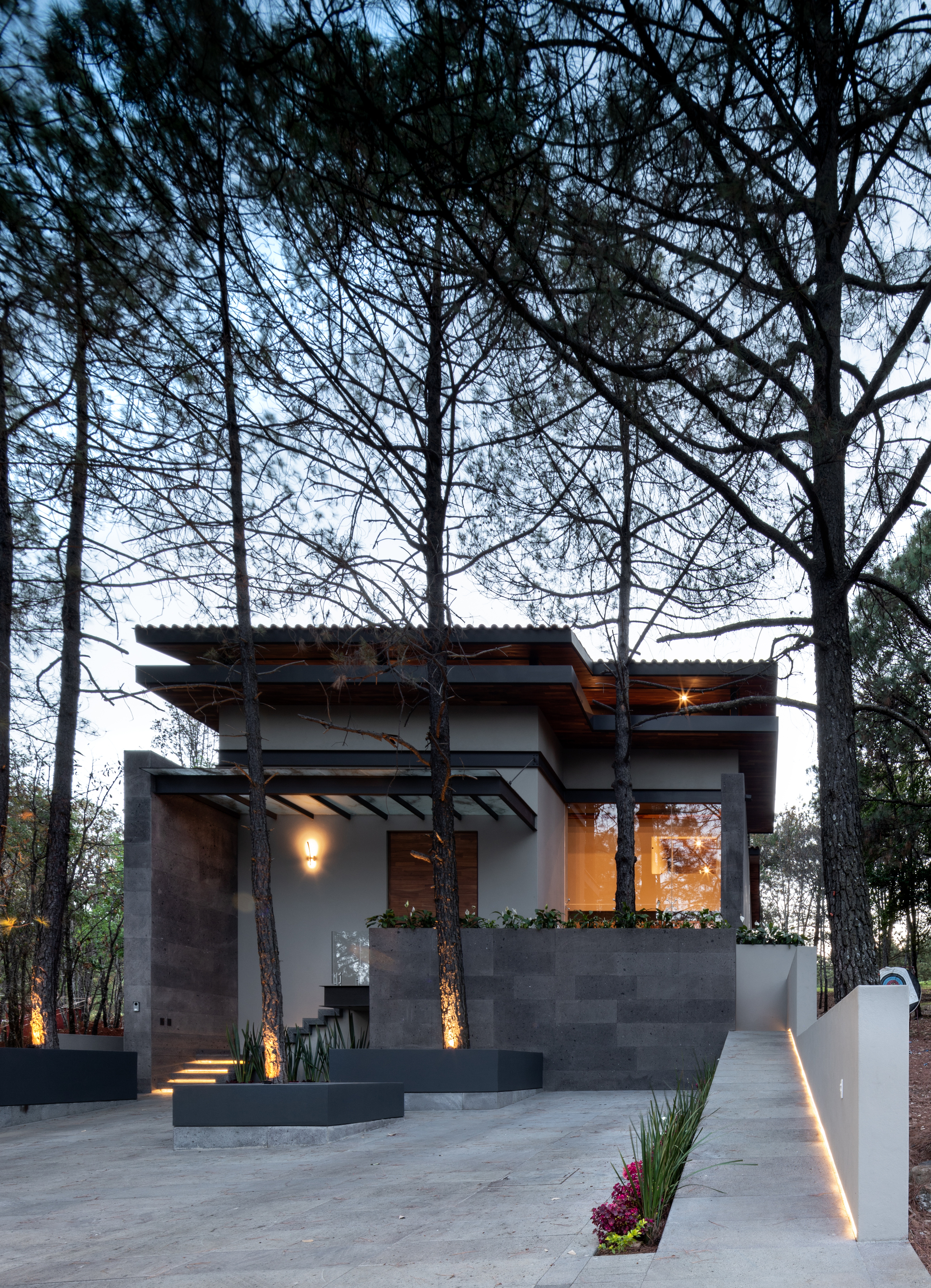 Galería de Casa entre pinos / Infante Arquitectos - 6