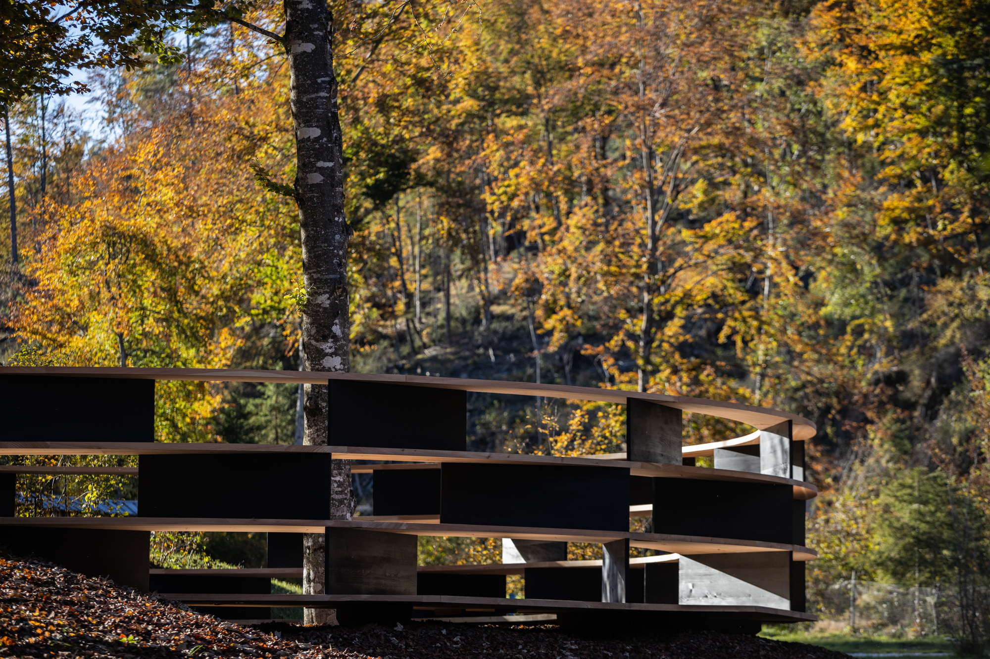 Gallery of Stefano Boeri Reveals Circular Wooden Installation, Bringing ...