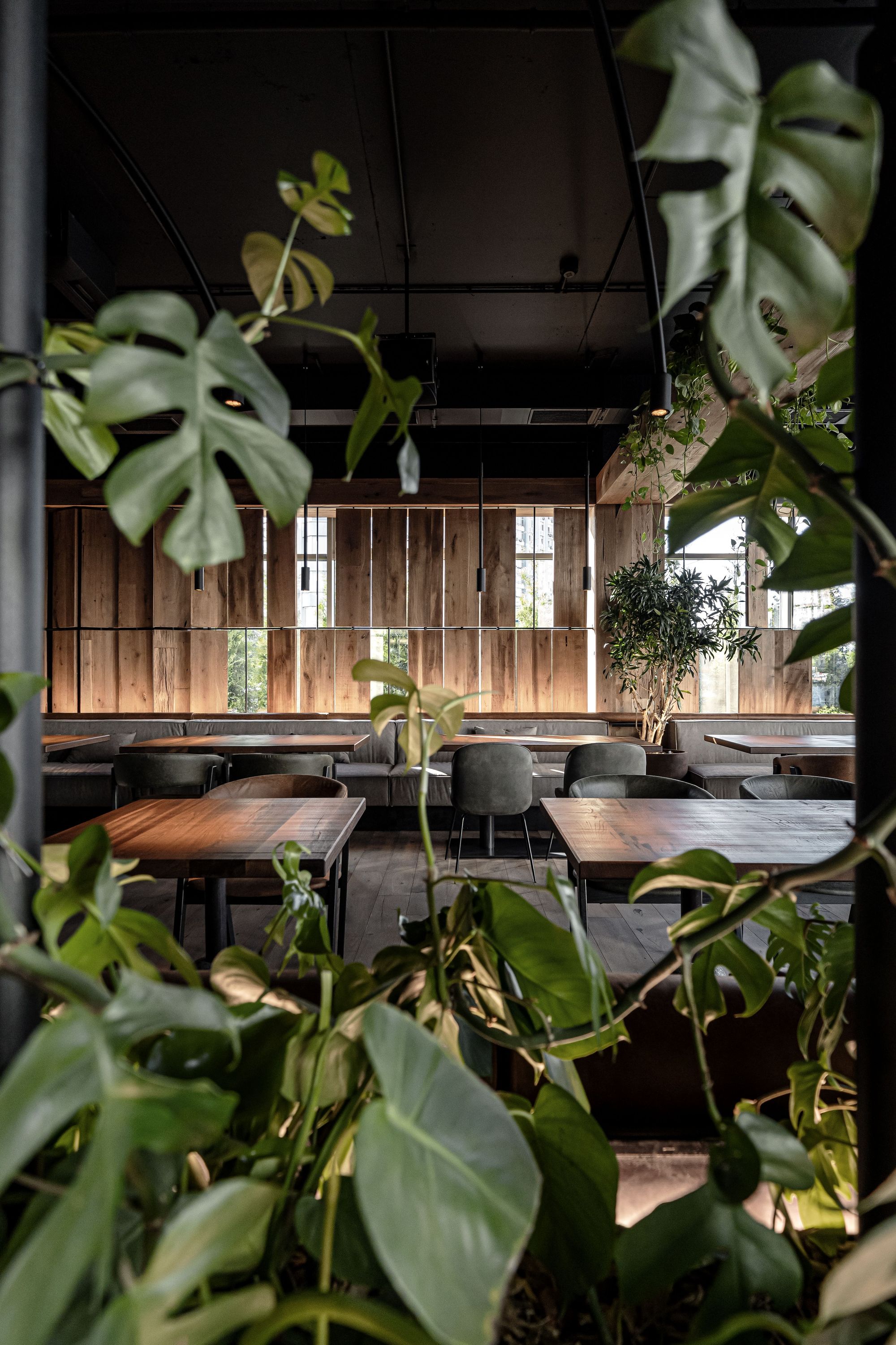 Gallery of Par Bar 3 / YoDezeen studio - 12