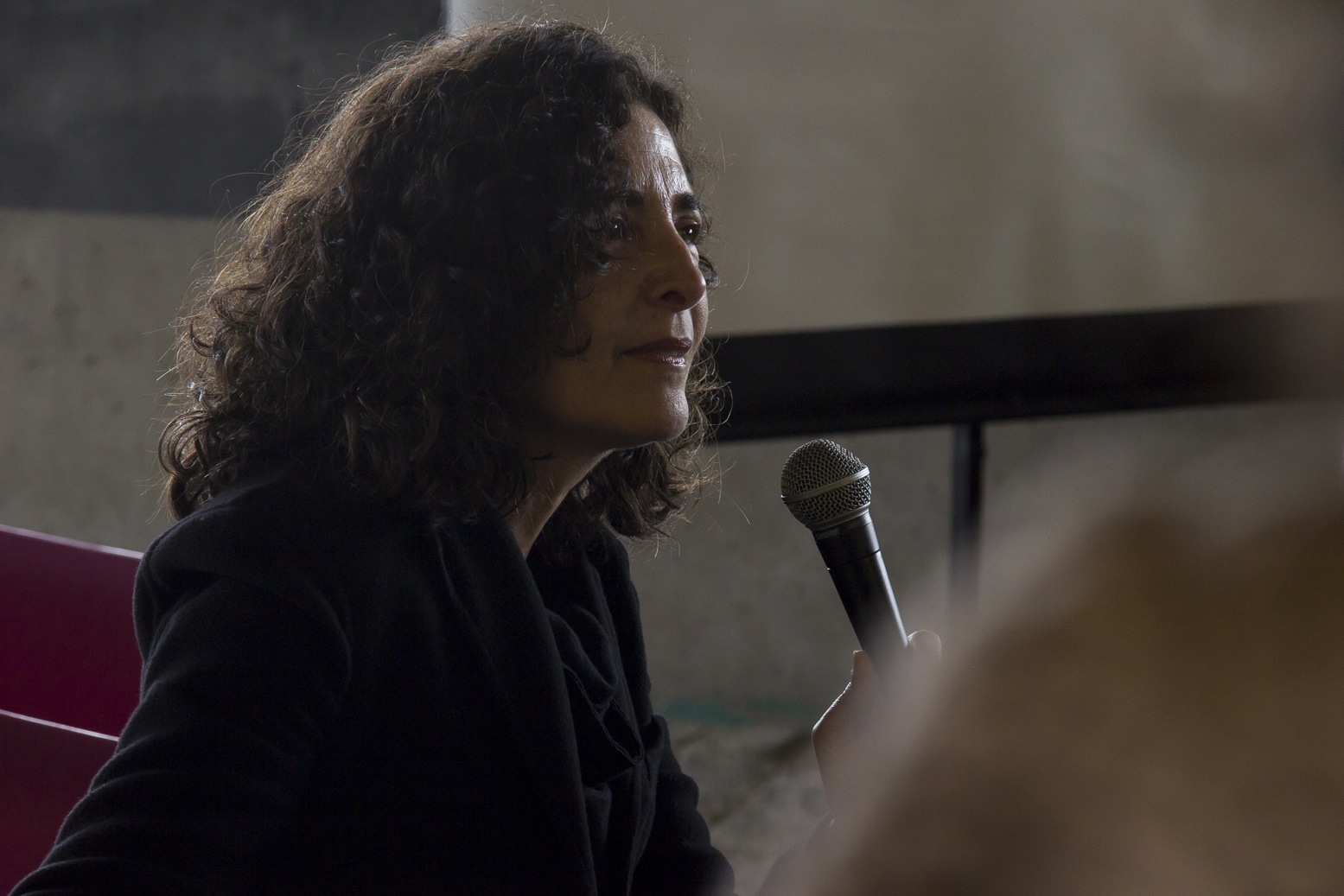 Cecilia Puga, nueva directora del Museo Chileno de Arte Precolombino ...