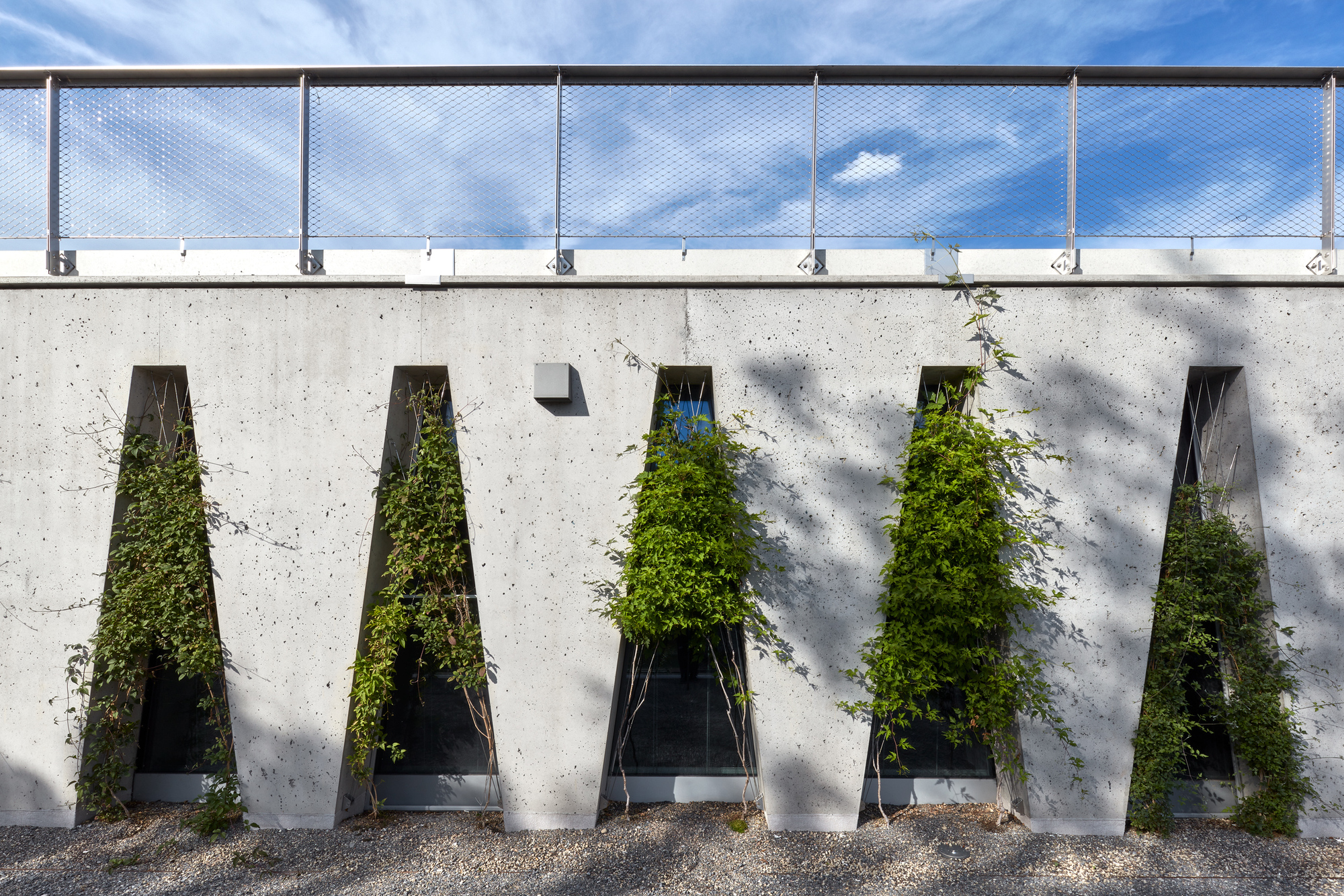 Gallery of Federico Covre Captures Barozzi Veiga's Swiss Projects: the ...