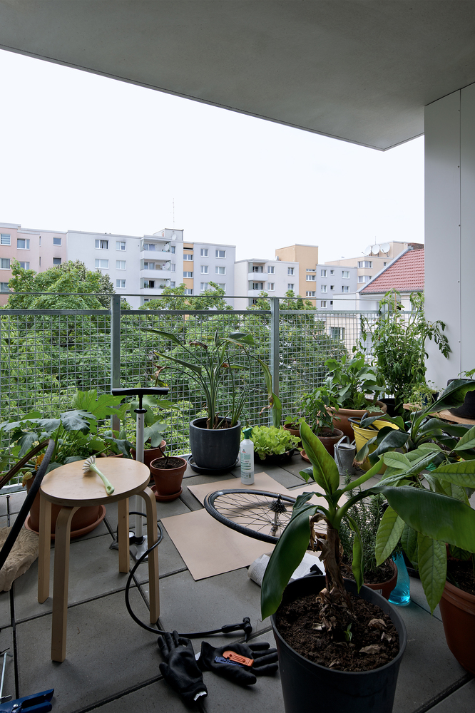 Gallery of New Housing on Briesestraße / EM2N - 16