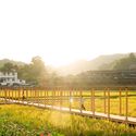 Rice Pavilion / Wiki World + Advanced Architecture Lab | ArchDaily