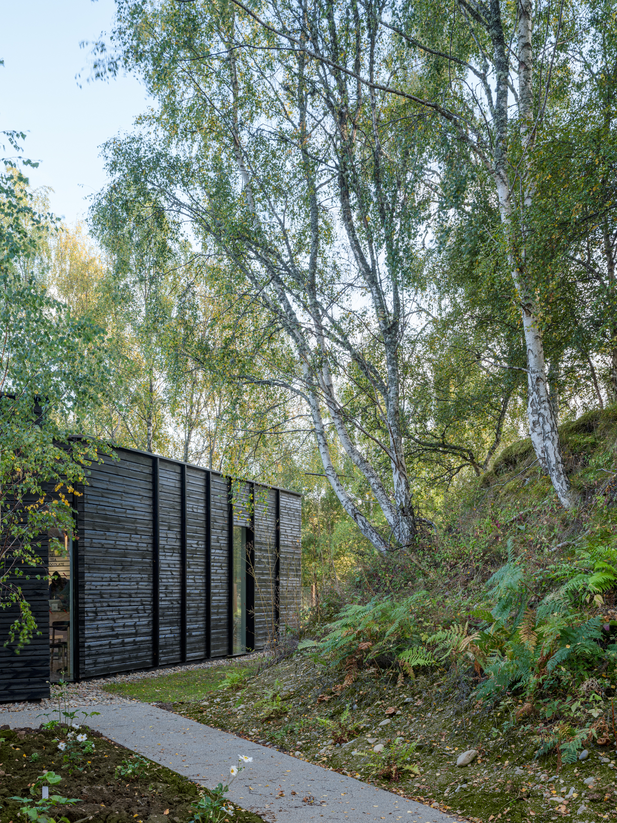 Gallery of Quarry Studios / Moxon Architects - 11