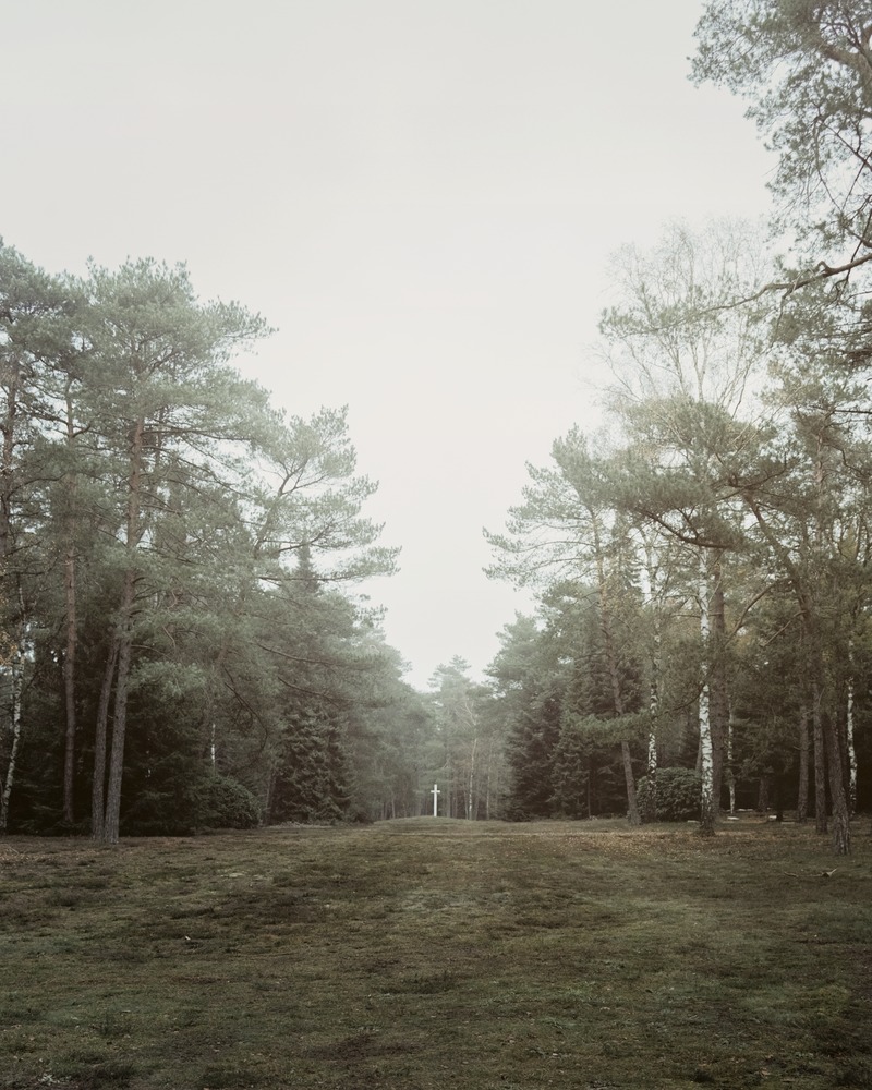 Gallery of Loenen Pavilion / KAAN Architecten - 15