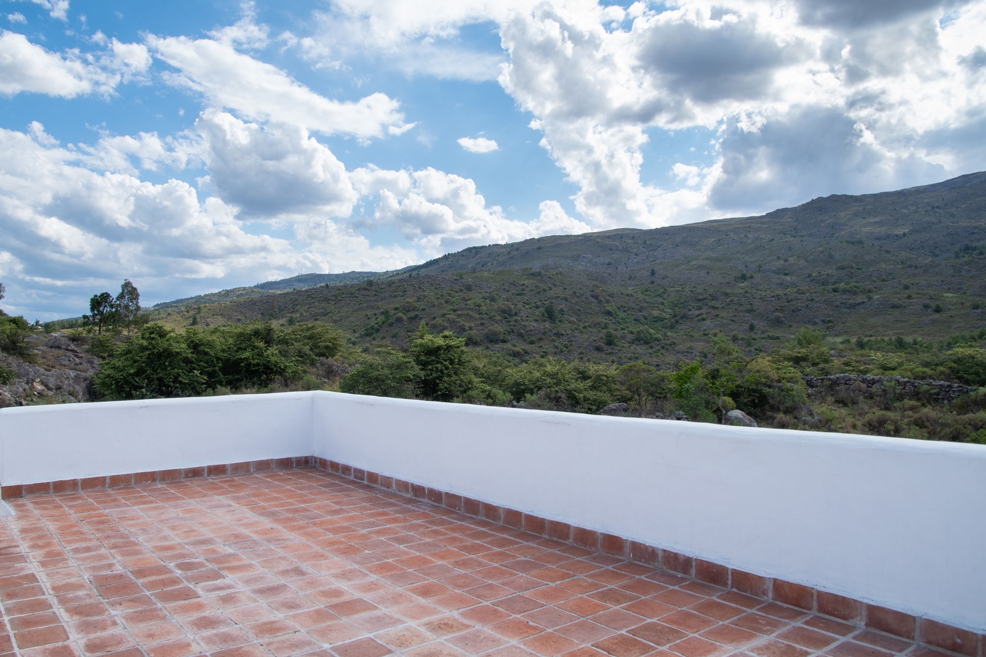 Gallery of Elisa House / Federico Olmedo - 17