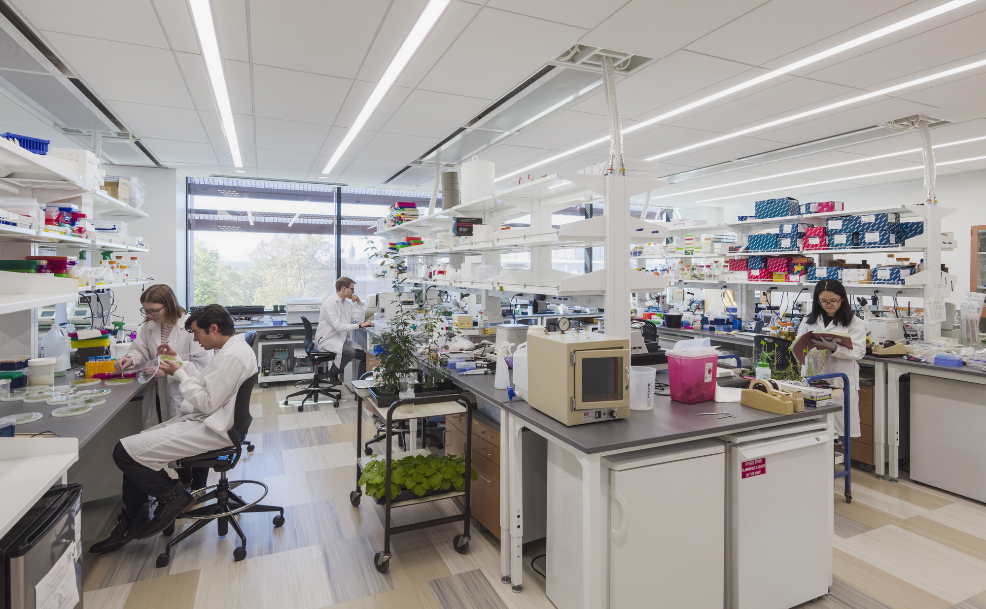 Gallery of Yale Science Building / Pelli Clarke Pelli Architects ...