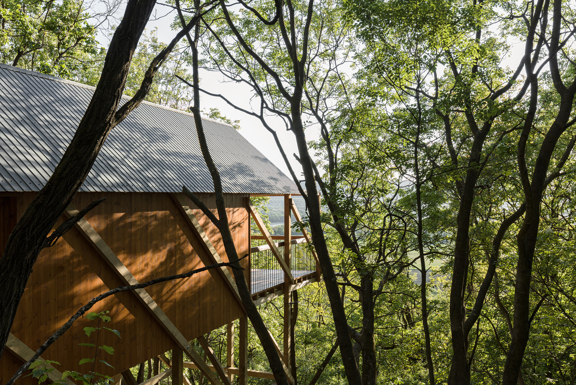 Gallery of House on 12 Legs / RJZS Architects - 11