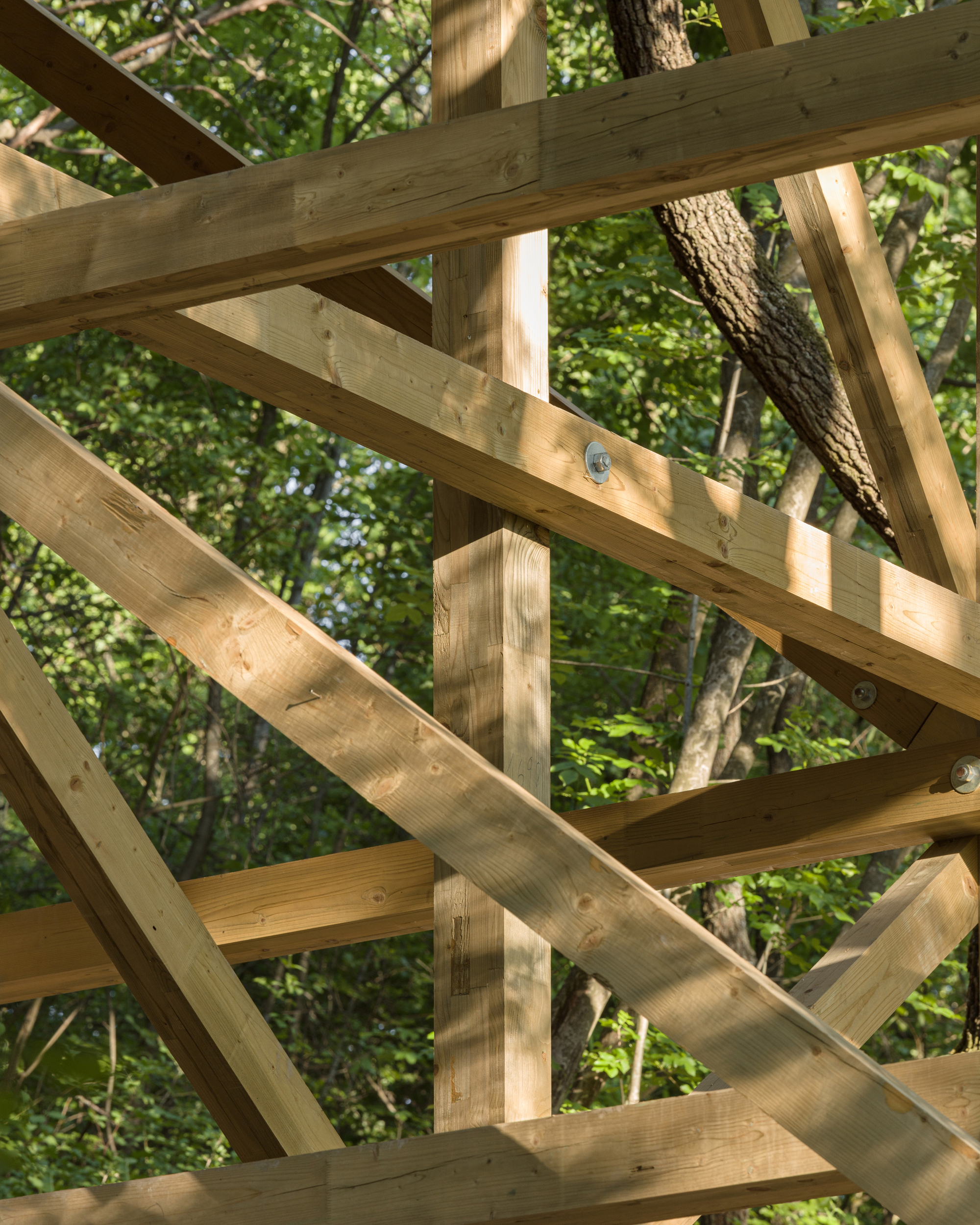 Gallery of House on 12 Legs / RJZS Architects - 12