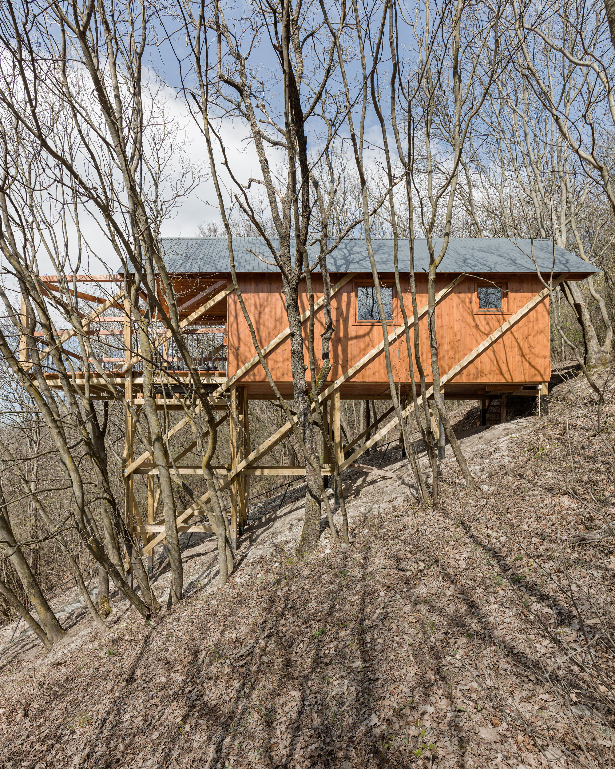 Gallery of House on 12 Legs / RJZS Architects - 5