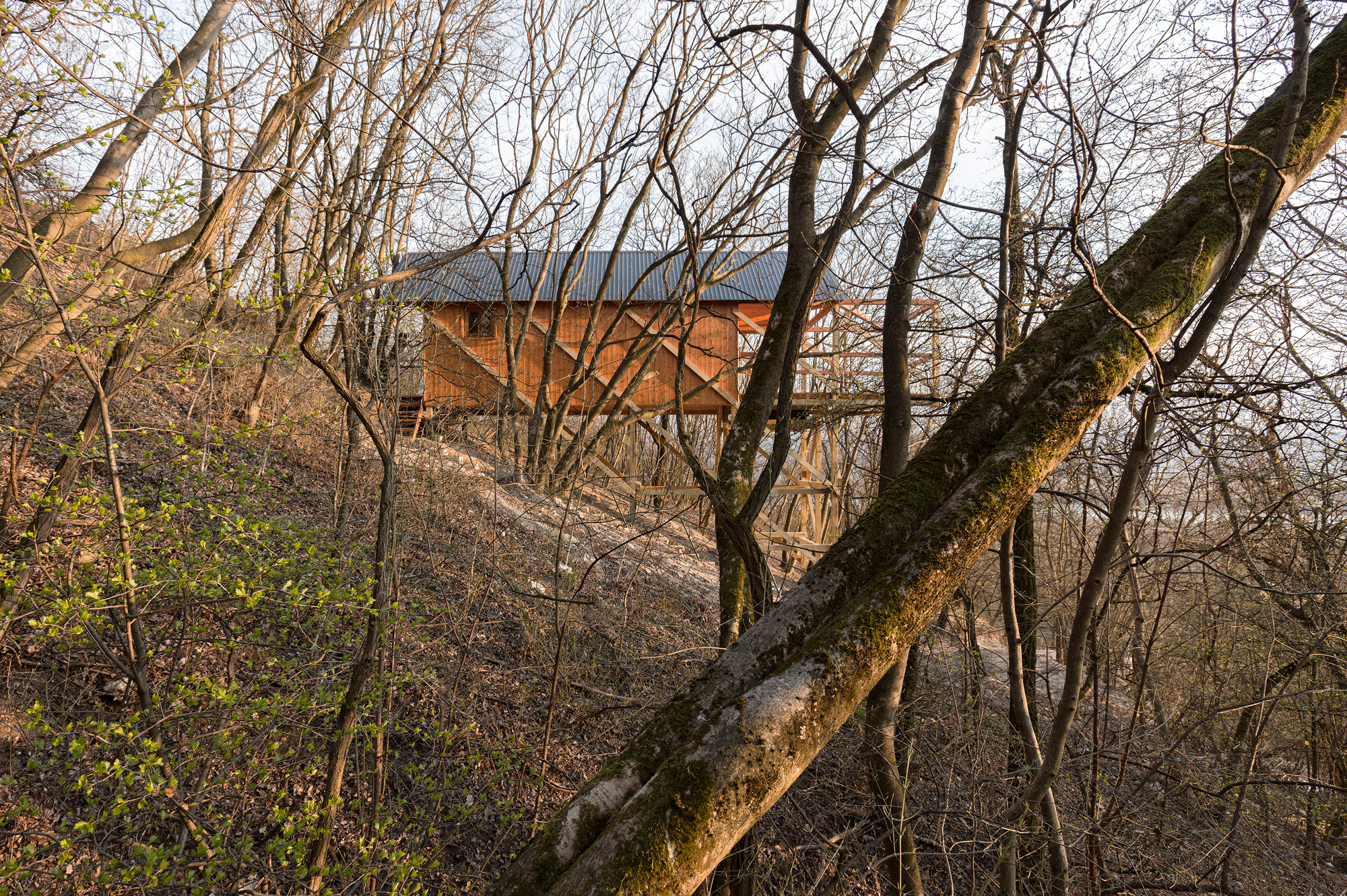 Gallery of House on 12 Legs / RJZS Architects - 8