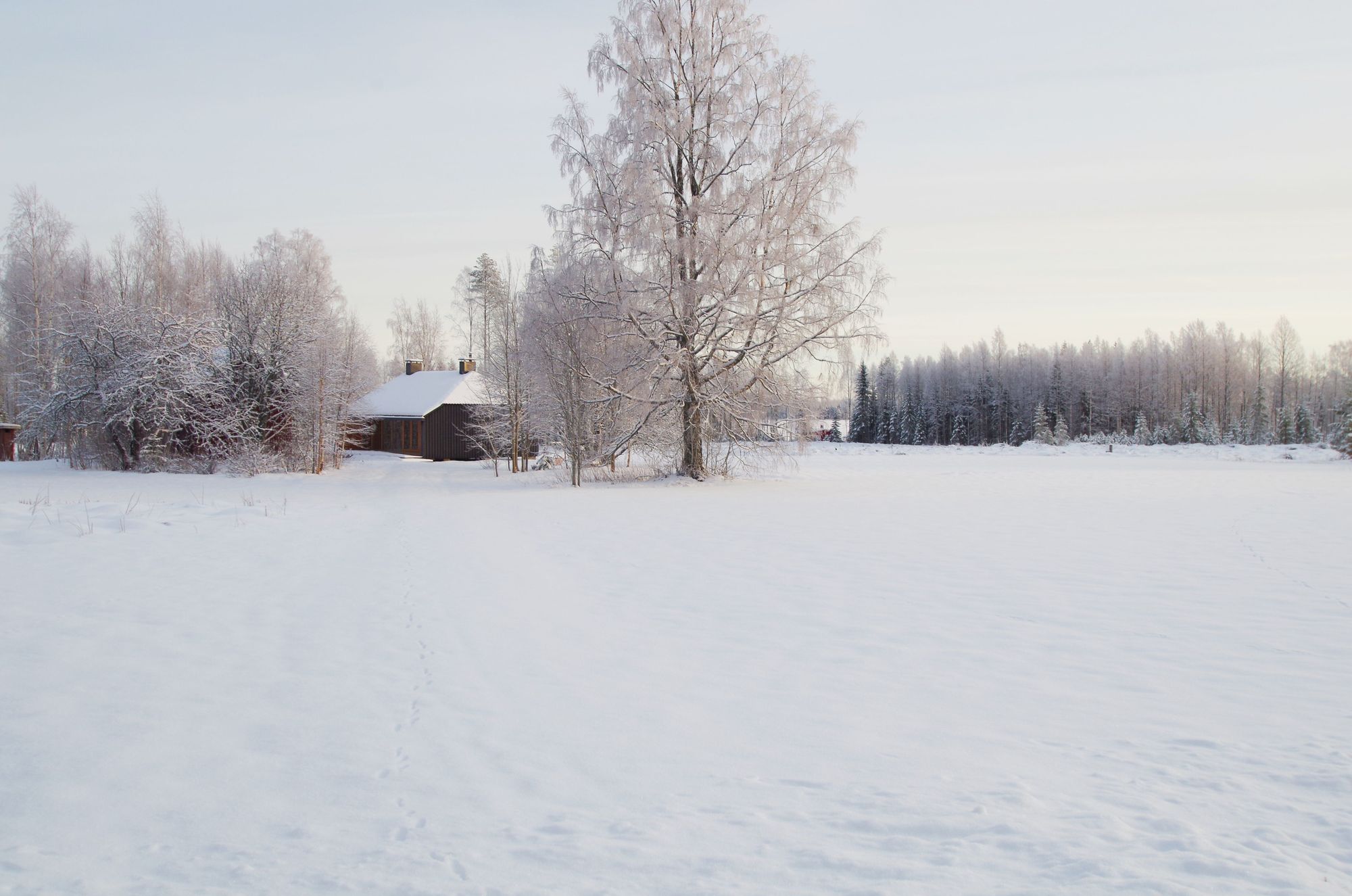 Gallery of Puuhi Community Space / OOPEAA - 14