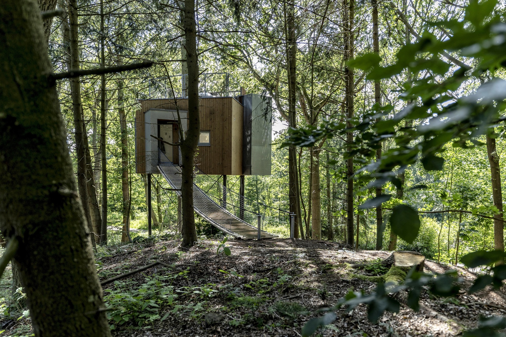 Gallery of Treetop Hotel Løvtag Denmark / Sigurd Larsen - 9