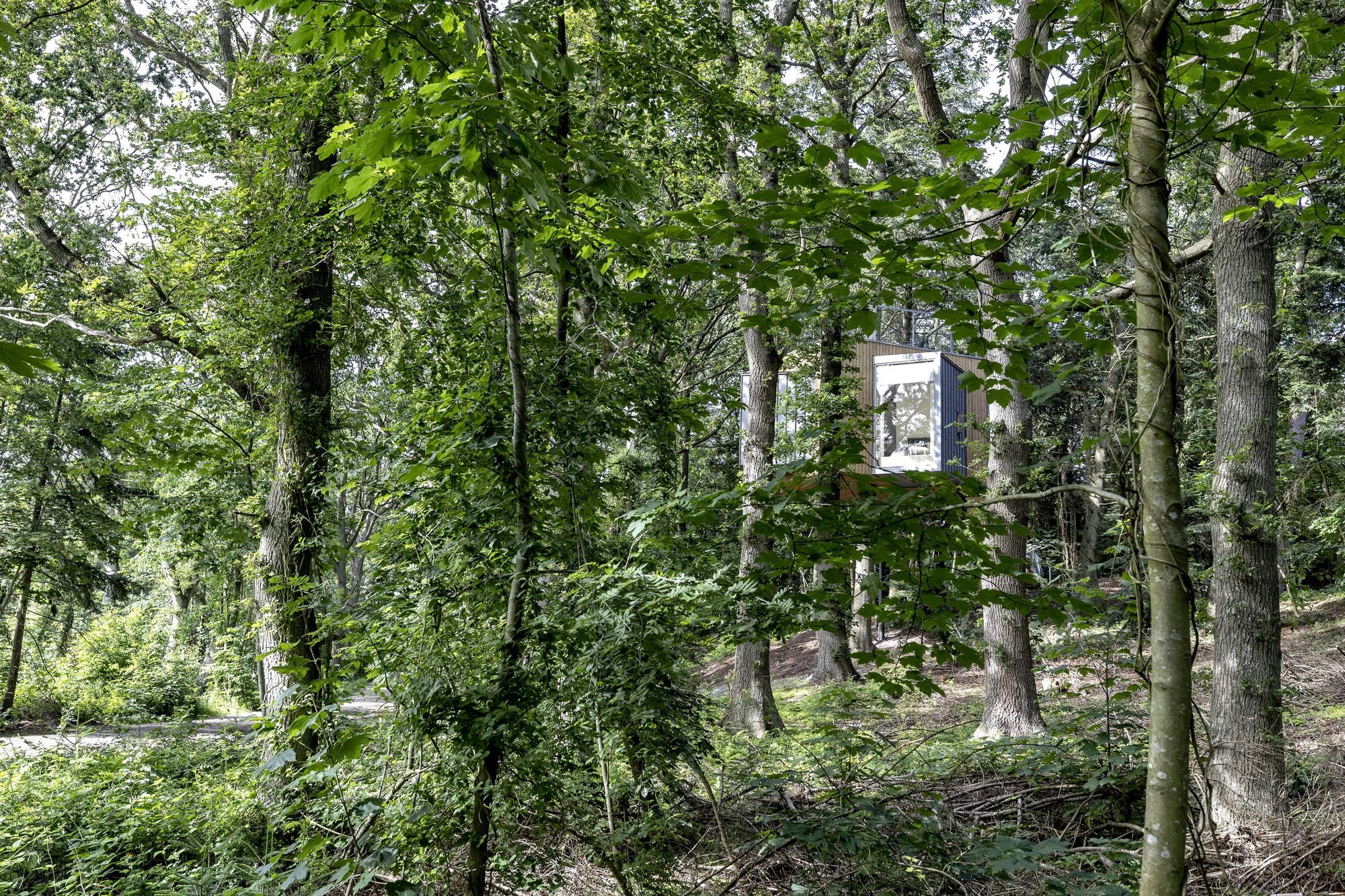 Gallery of Treetop Hotel Løvtag Denmark / Sigurd Larsen - 2