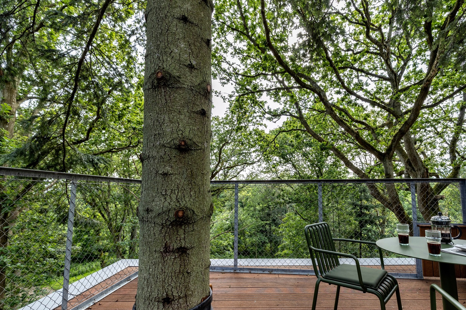 Gallery of Treetop Hotel Løvtag Denmark / Sigurd Larsen - 19